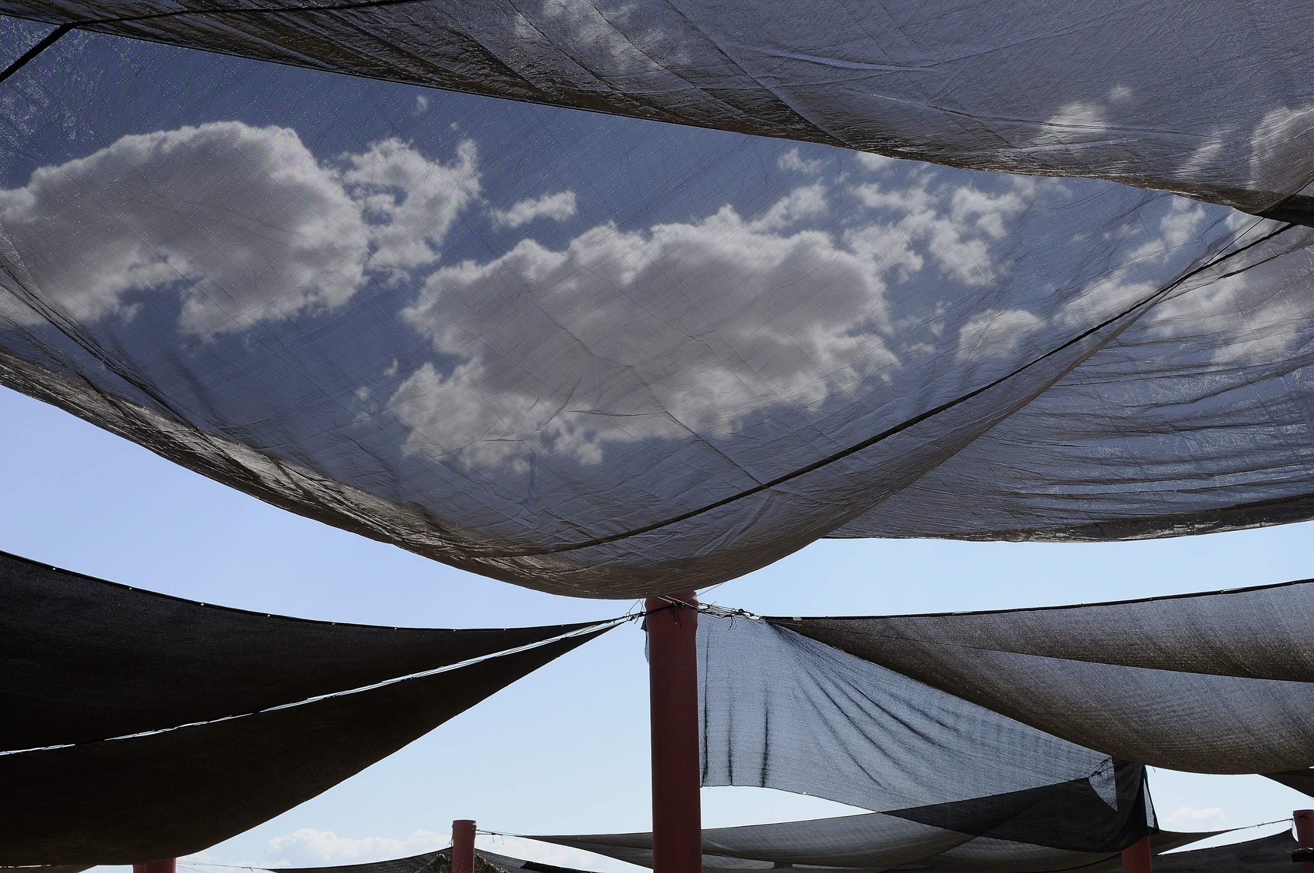 Home - Sam English Photography