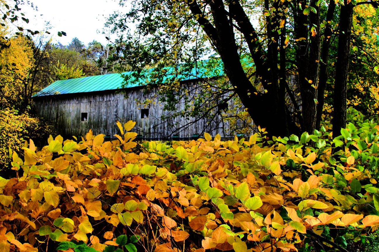 Hammond Covered Bridge 4, Pittsford, Vermont - Kevin Smyth Photography