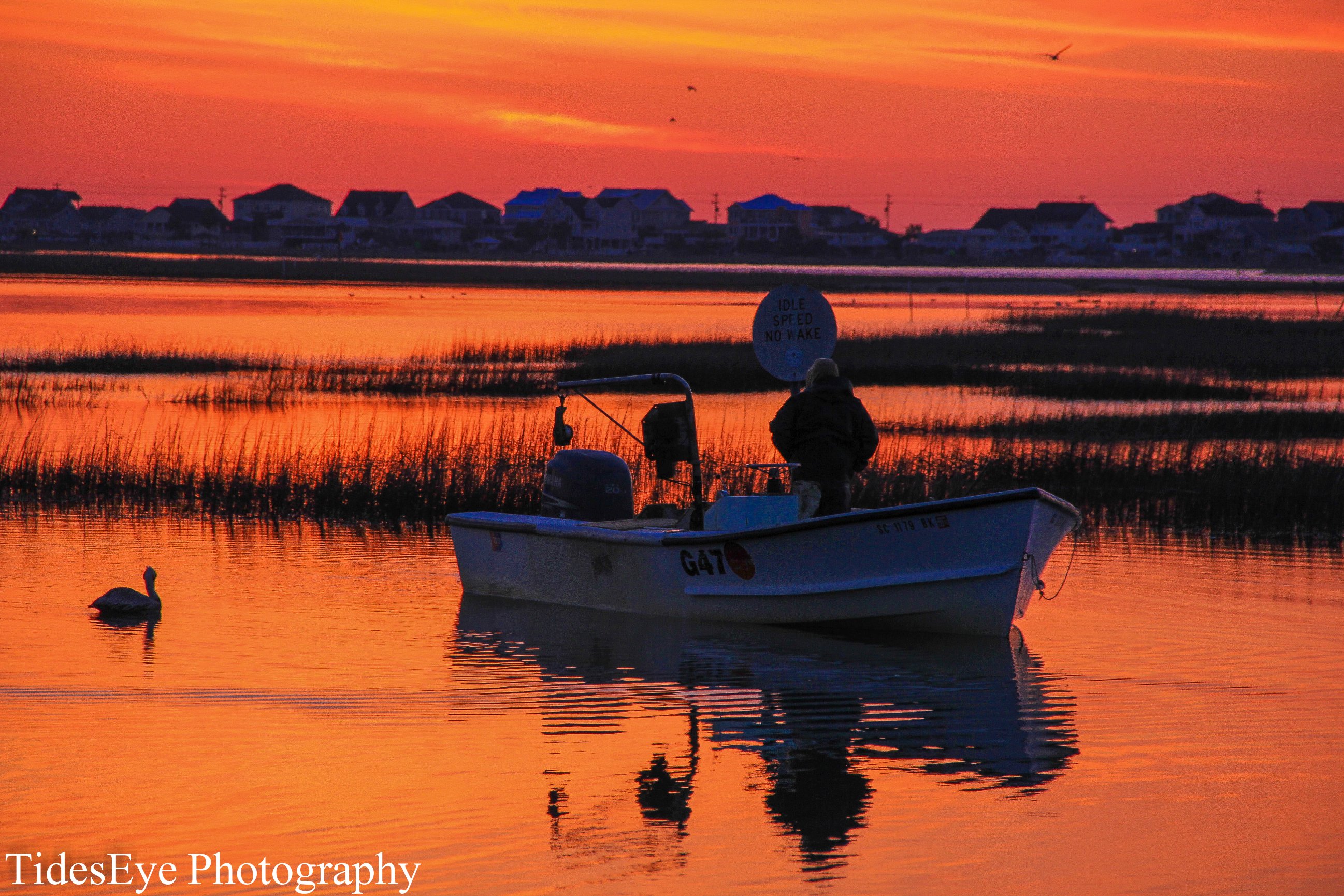 LANDSCAPES/NATURE - Tides Eye Photography