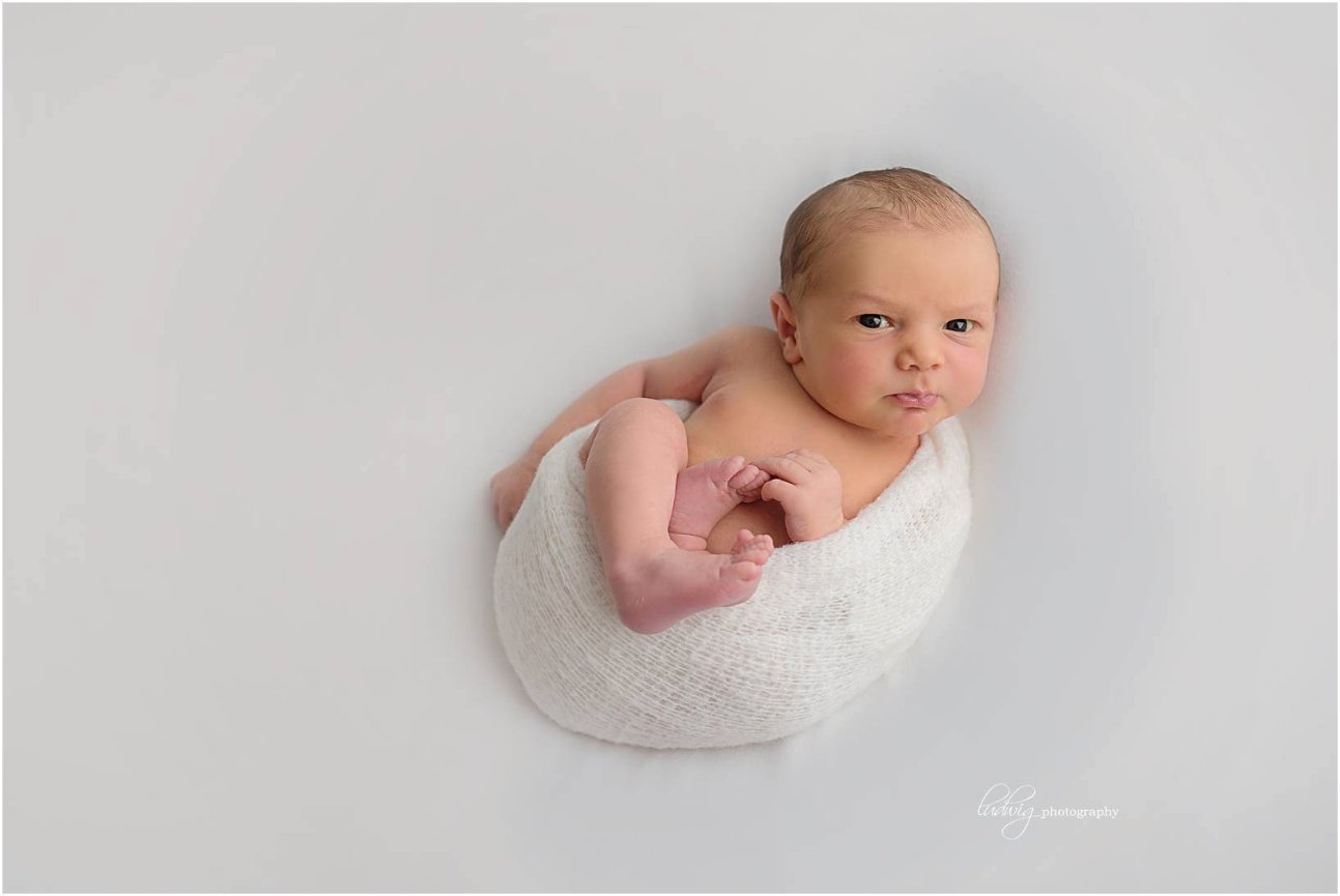 Studio Newborn baby portrait - Ludwig Photography
