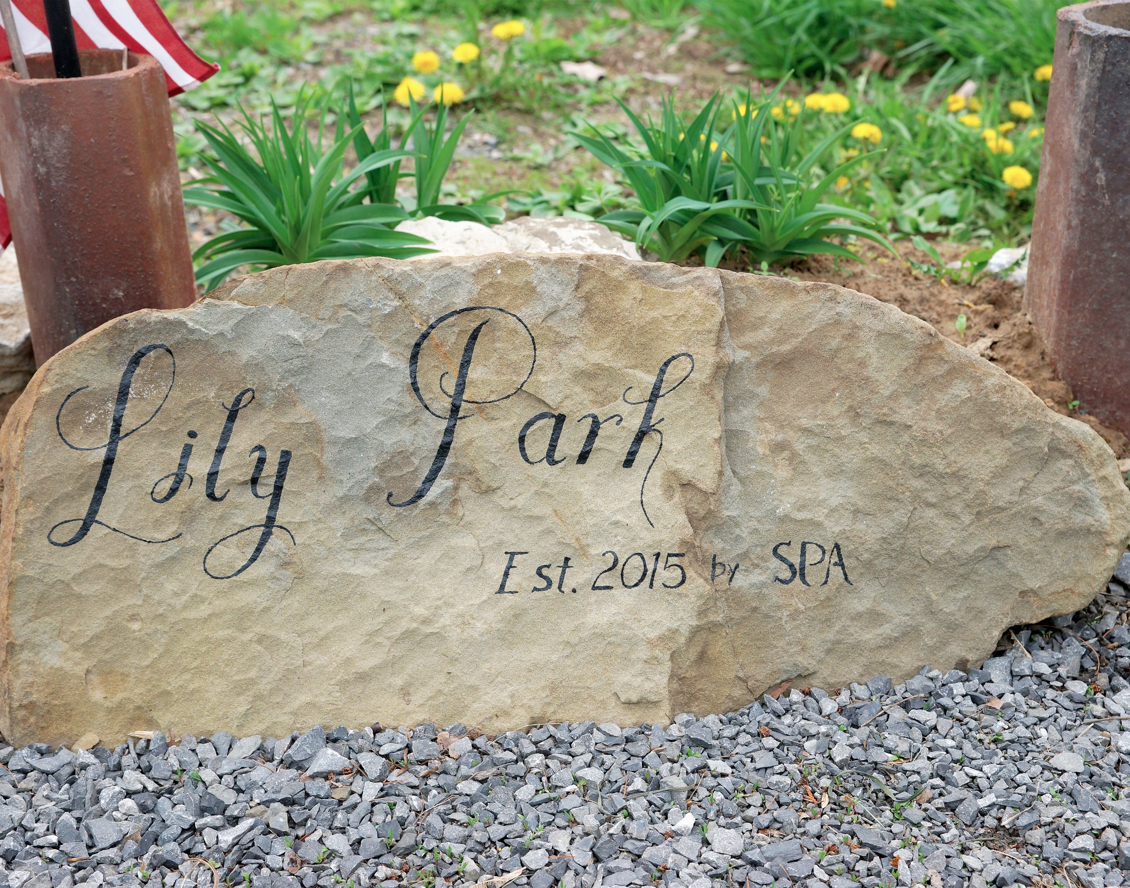 Fun family photos at Lily Park, Schoharie, NY - Jacalyn Roland Photography