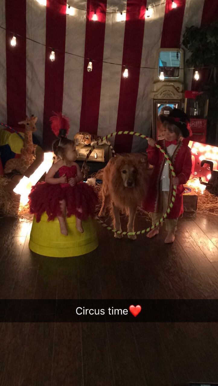 Enjoying the Circus - Sandy Puc Photography