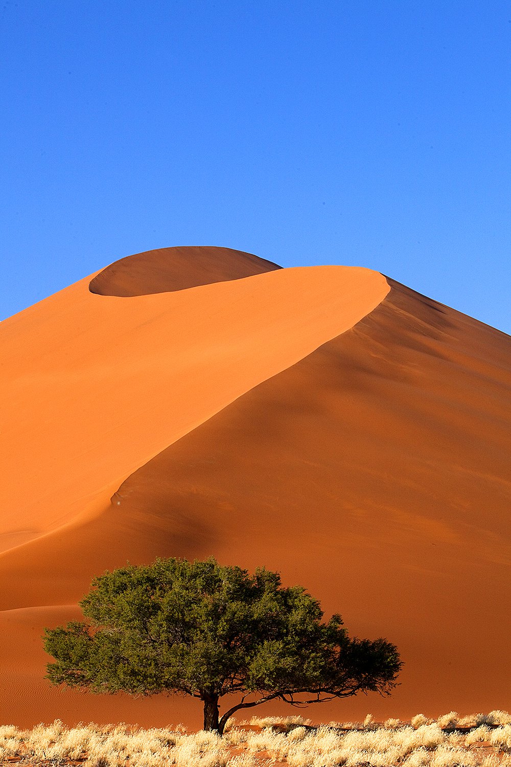 Namibia - Jim Zuckerman photography & photo tours