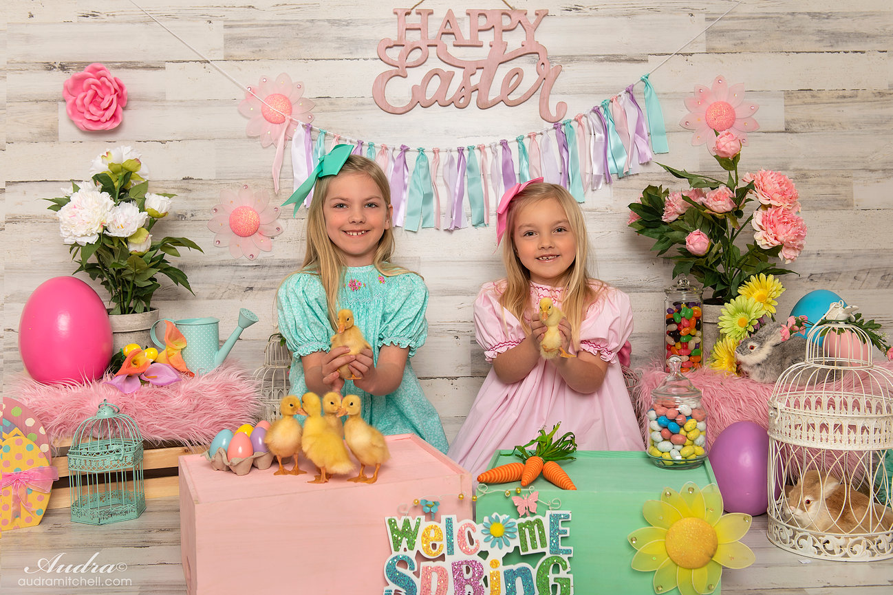 Sample Ducks Photos - Audra Mitchell Photography