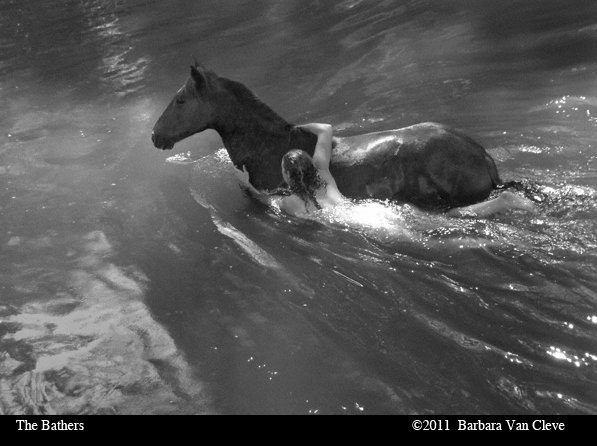 WOMEN & HORSES - Barbara Van Cleve