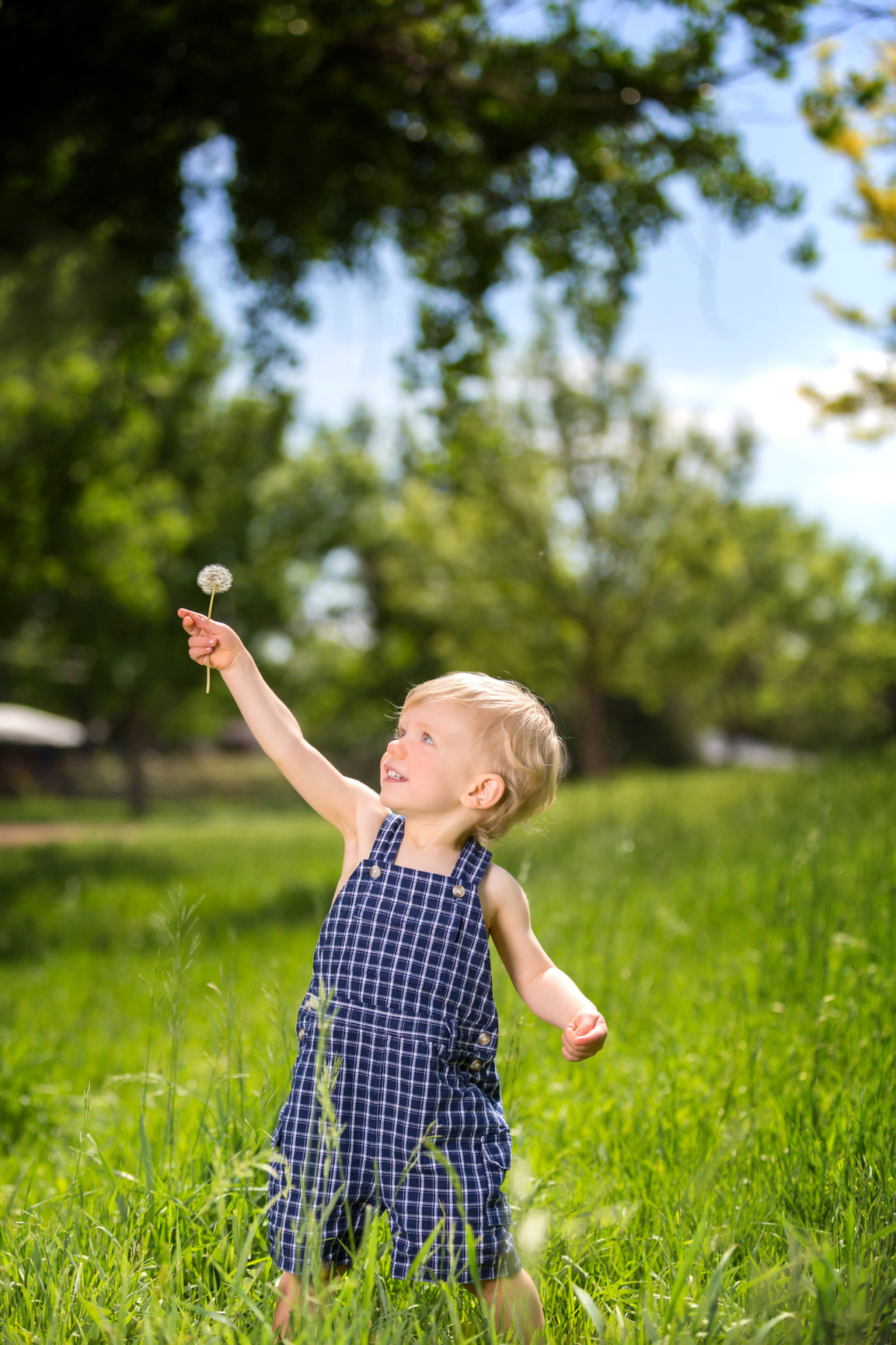 Spring Special - Sandy Puc Photography