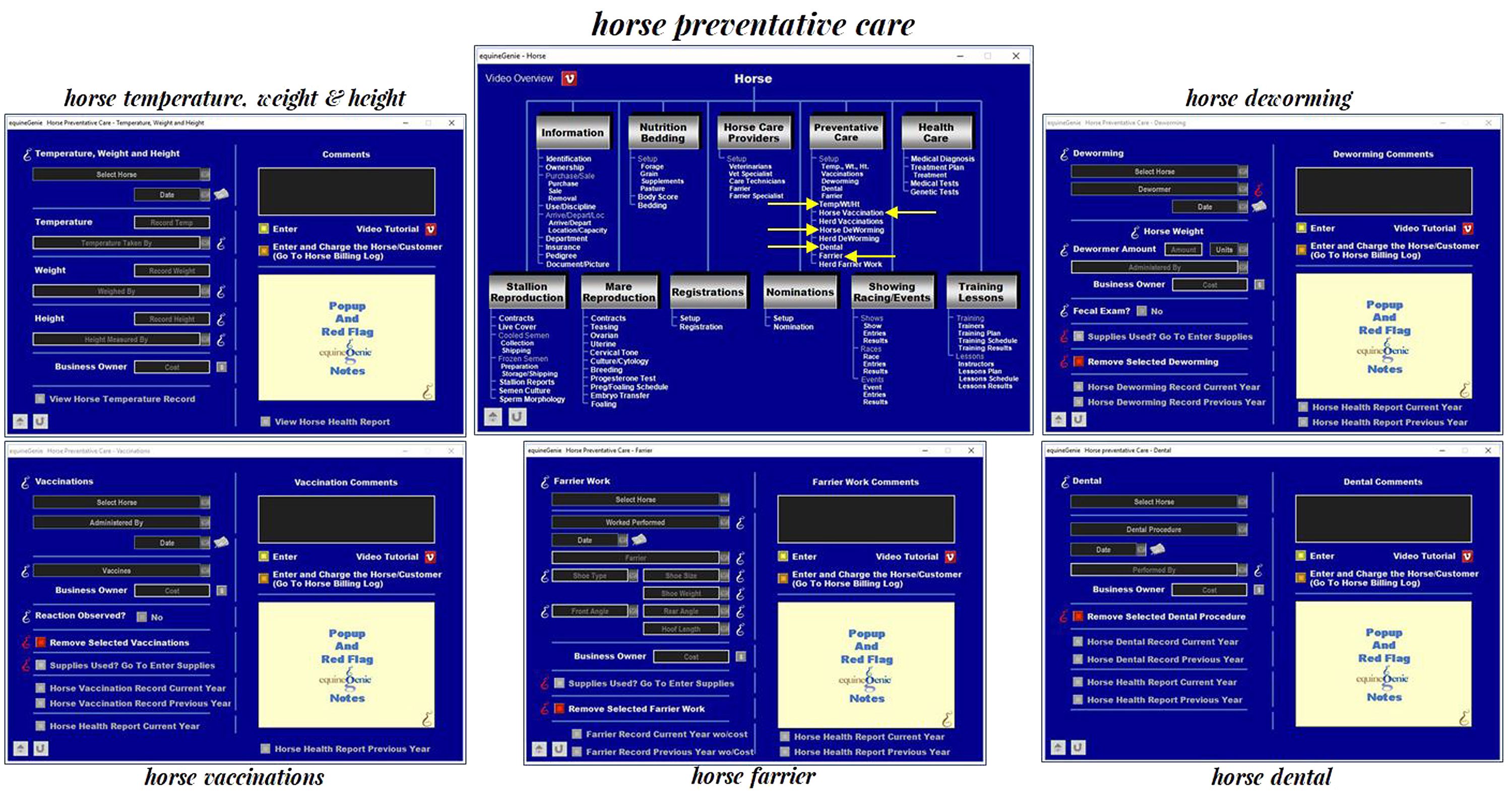 Horse Care Management | Equine Genie - Horse Business Management Software