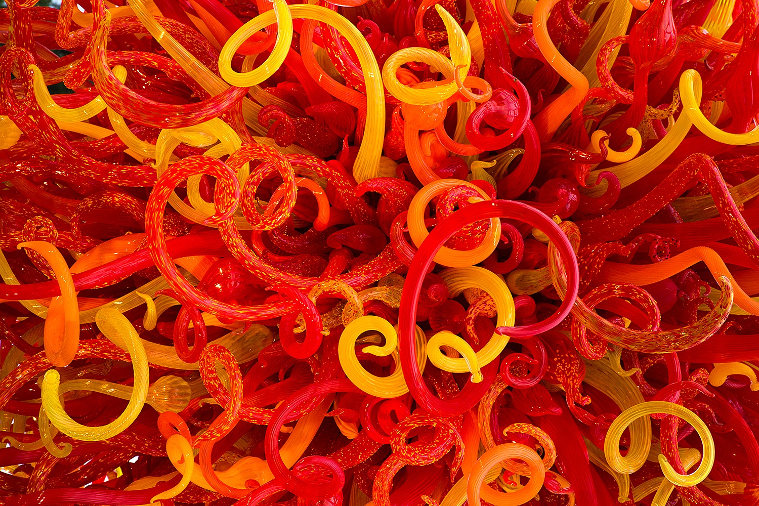 Chihuly glass - Jim Zuckerman photography & photo tours