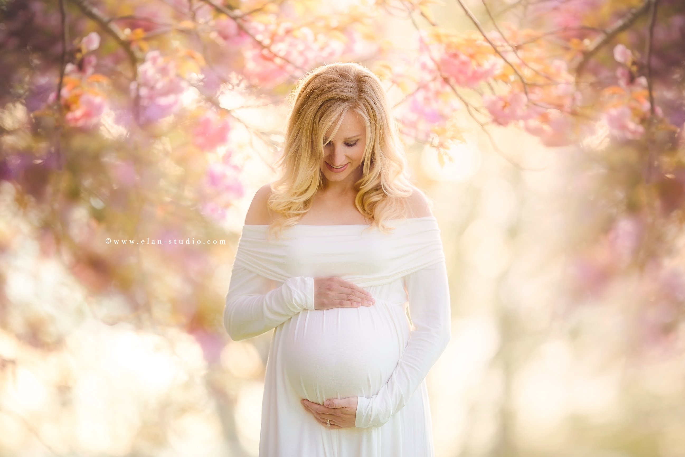 Bristol RI Maternity Photography Gallery | Elan Studio