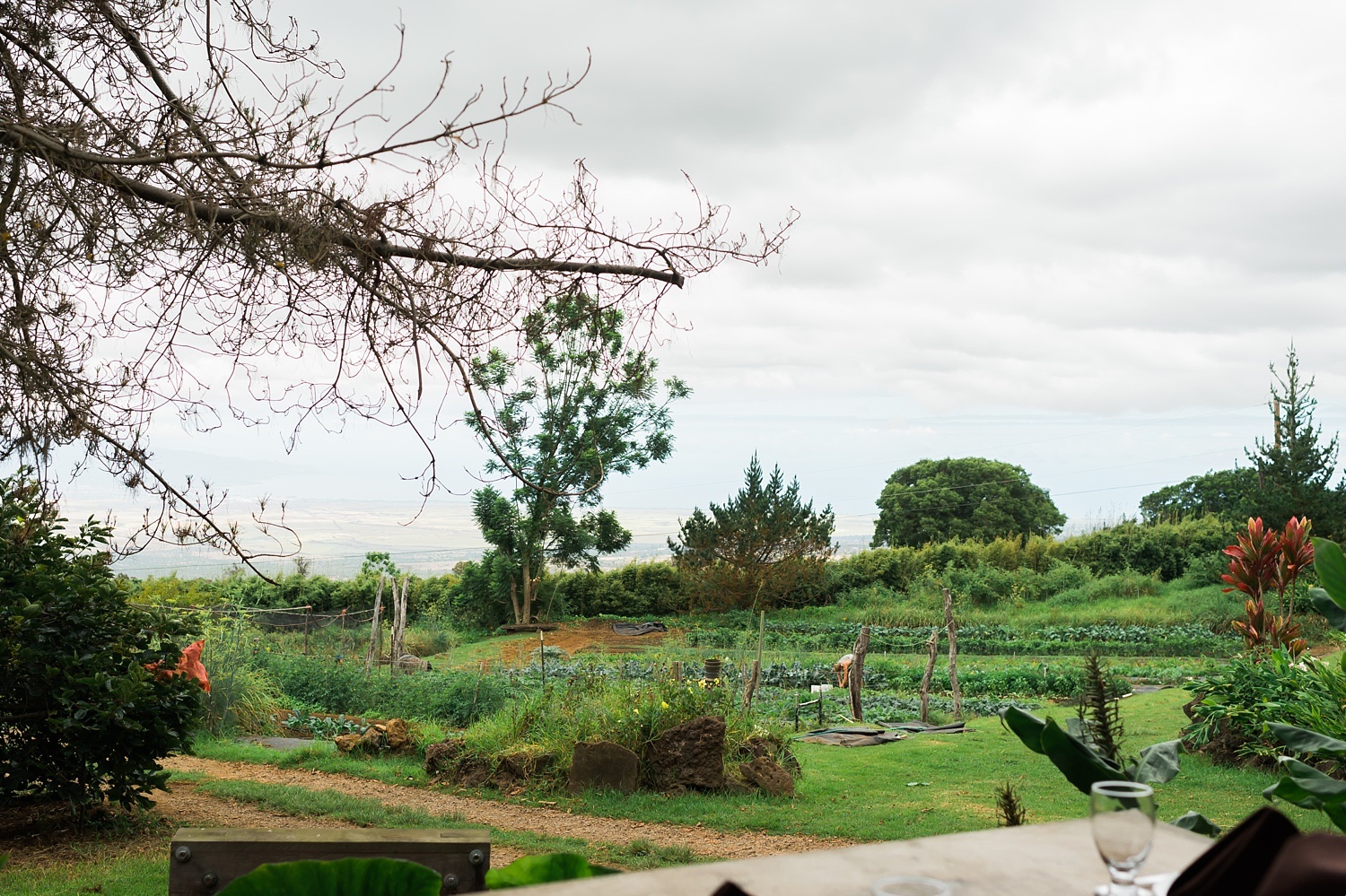 O'o Farm Tour, Up-country Maui