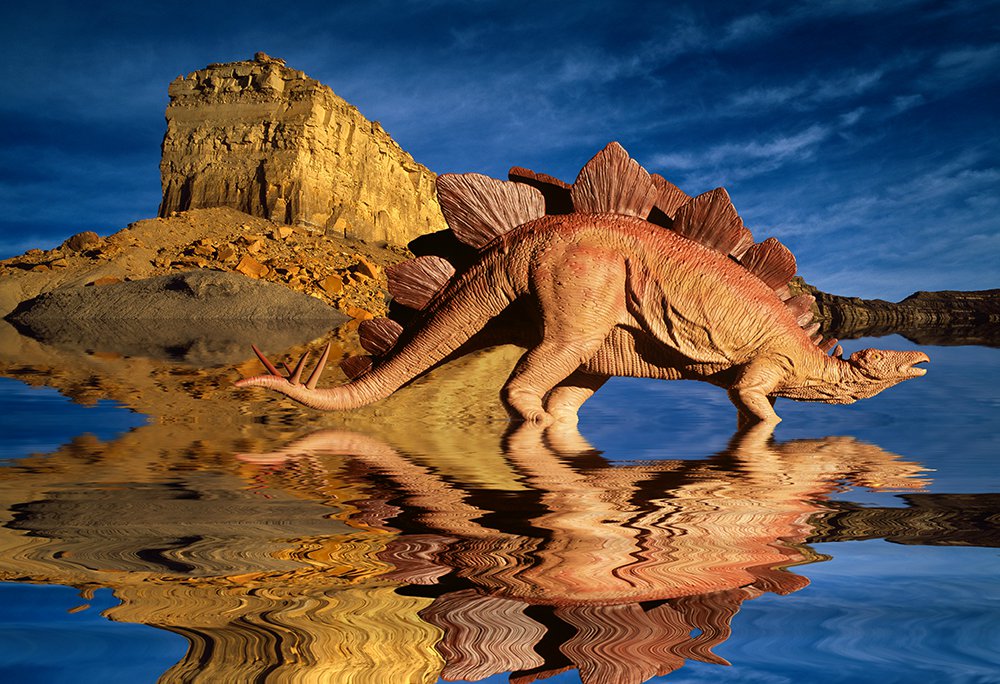 Dinosaurs - Jim Zuckerman photography & photo tours