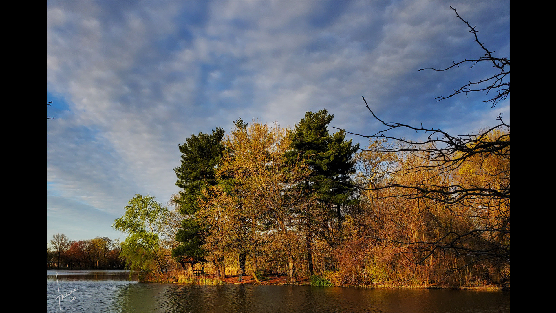 A GIFT: PORTRAITS OF PROSPECT PARK - Virginia Freire Portrait Photography