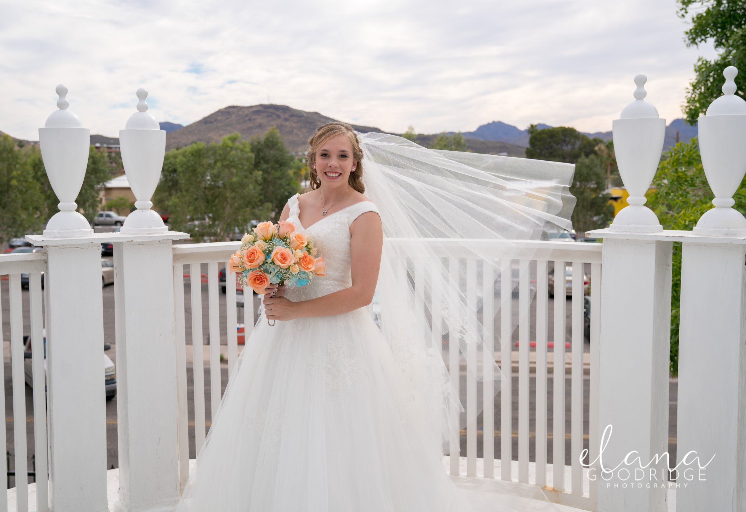 Wedding at the Z Mansion, Tucson, Arizona - Elana Goodridge Photography