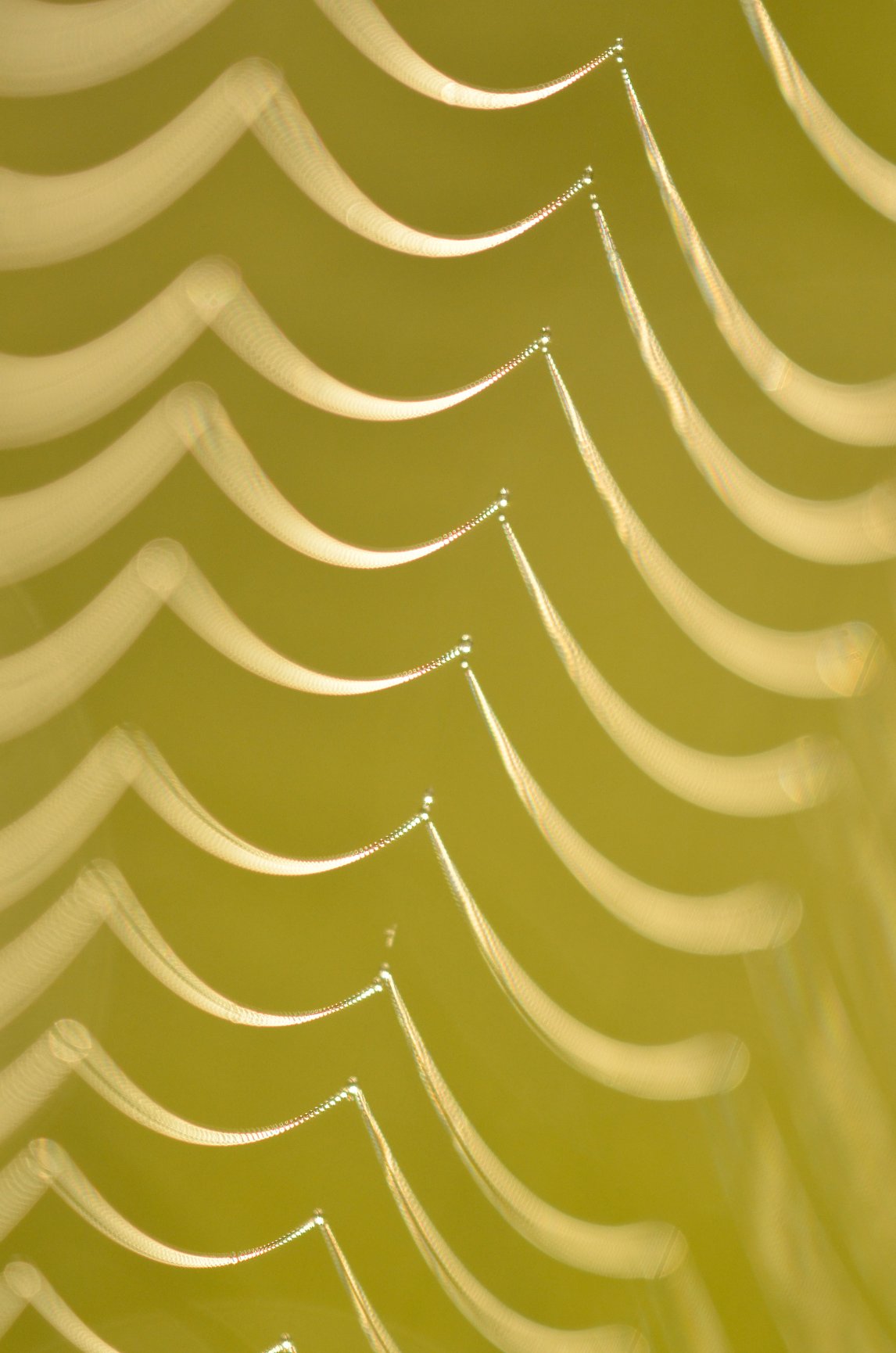 Nature Macro by Mike Moats | Award Winning Macro Photographer ...