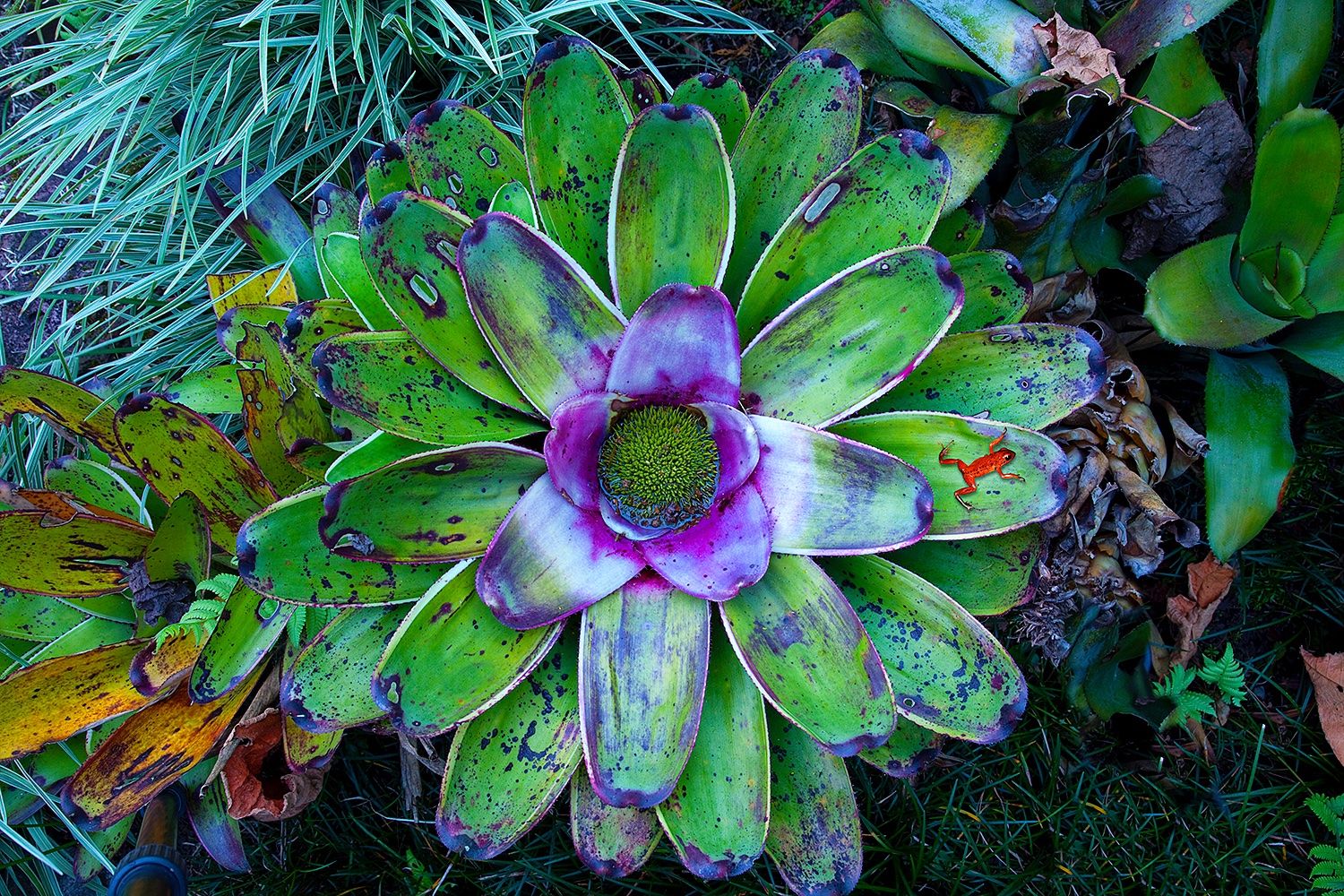 Include the environment - Jim Zuckerman photography & photo tours