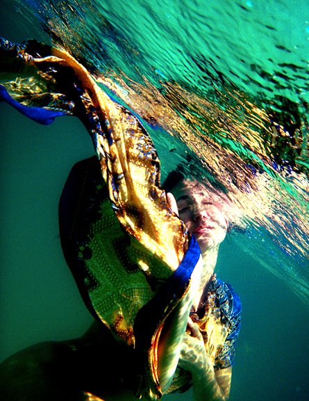 Under Water Photographer 30A, Grayton & Rosemary Beach - Dawn Whitty