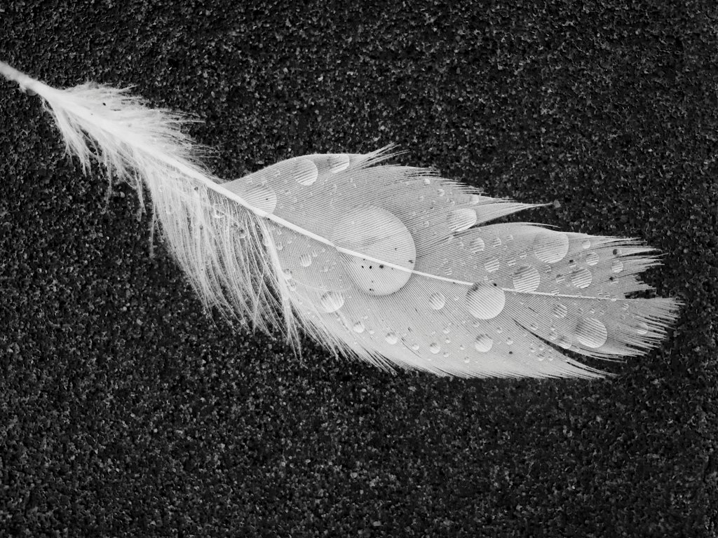 Macros: Textures and Fabrics - Taz Tally Photography