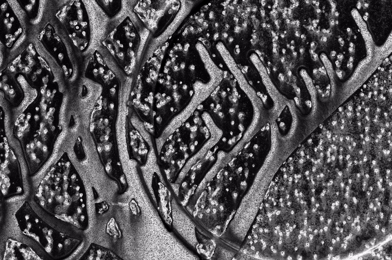 Mallory Jackson Photography-Metal landscape photography