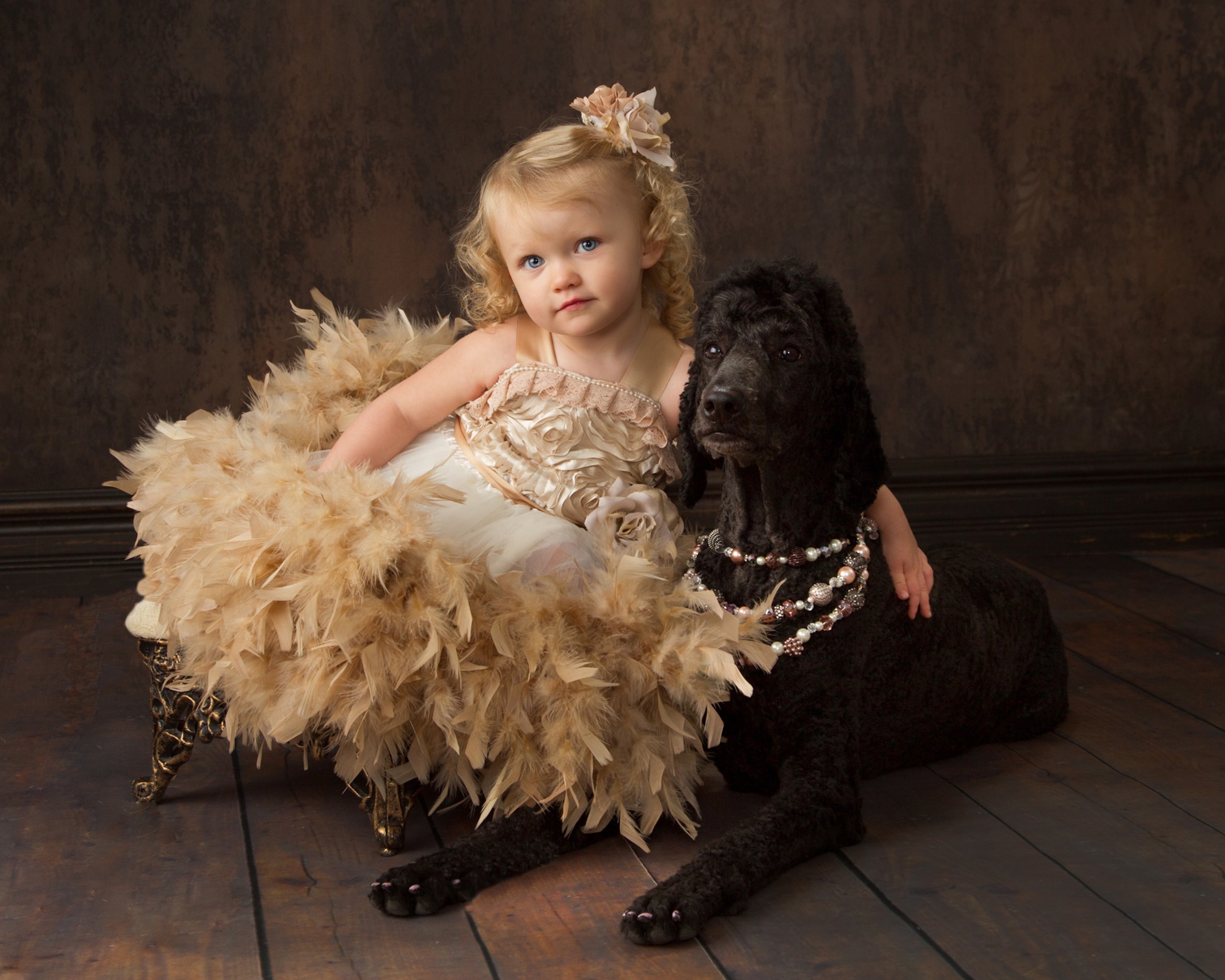 NFocus Photography - nfocus photography