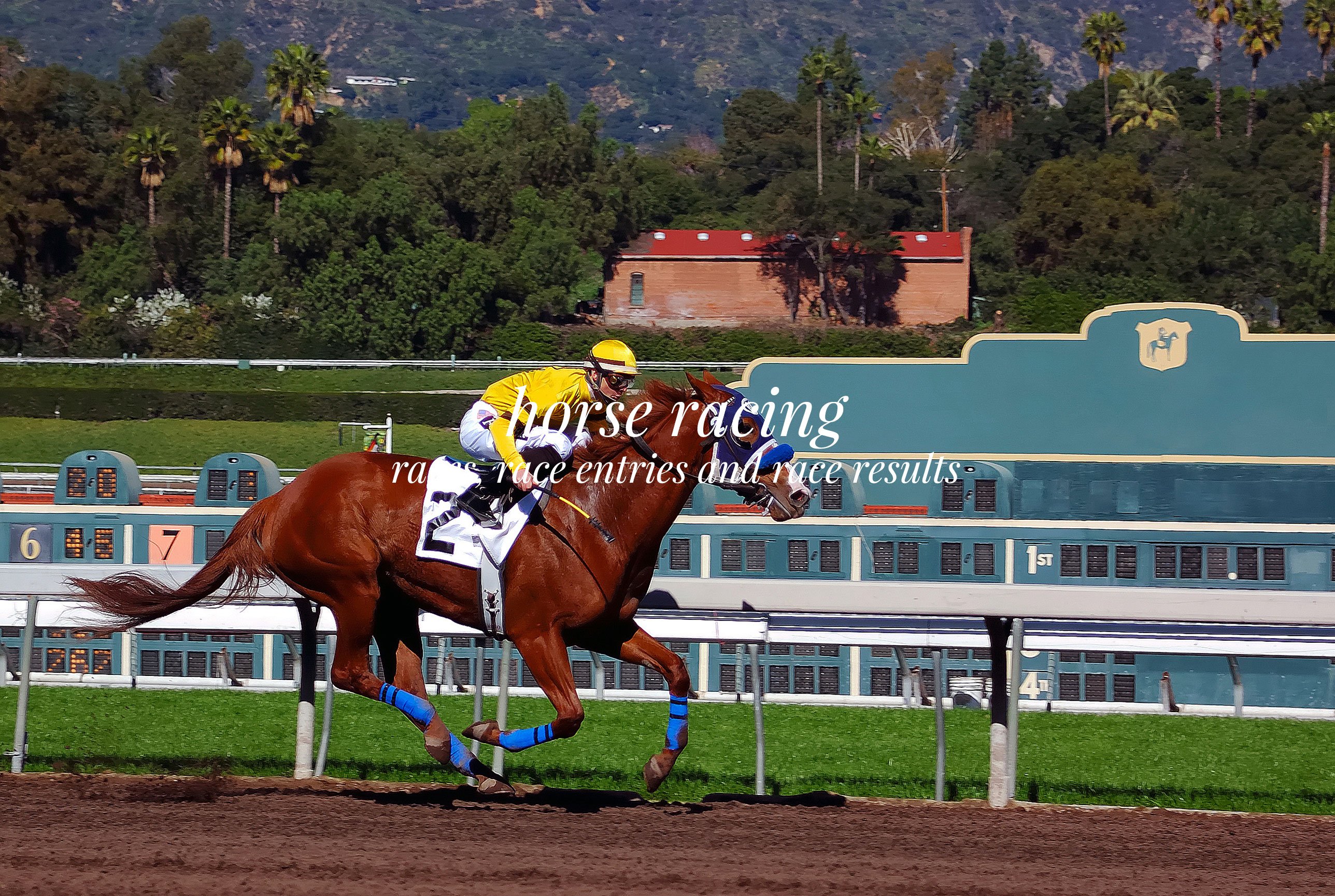 Horse Racing | Equine Genie - Horse Business Management Software