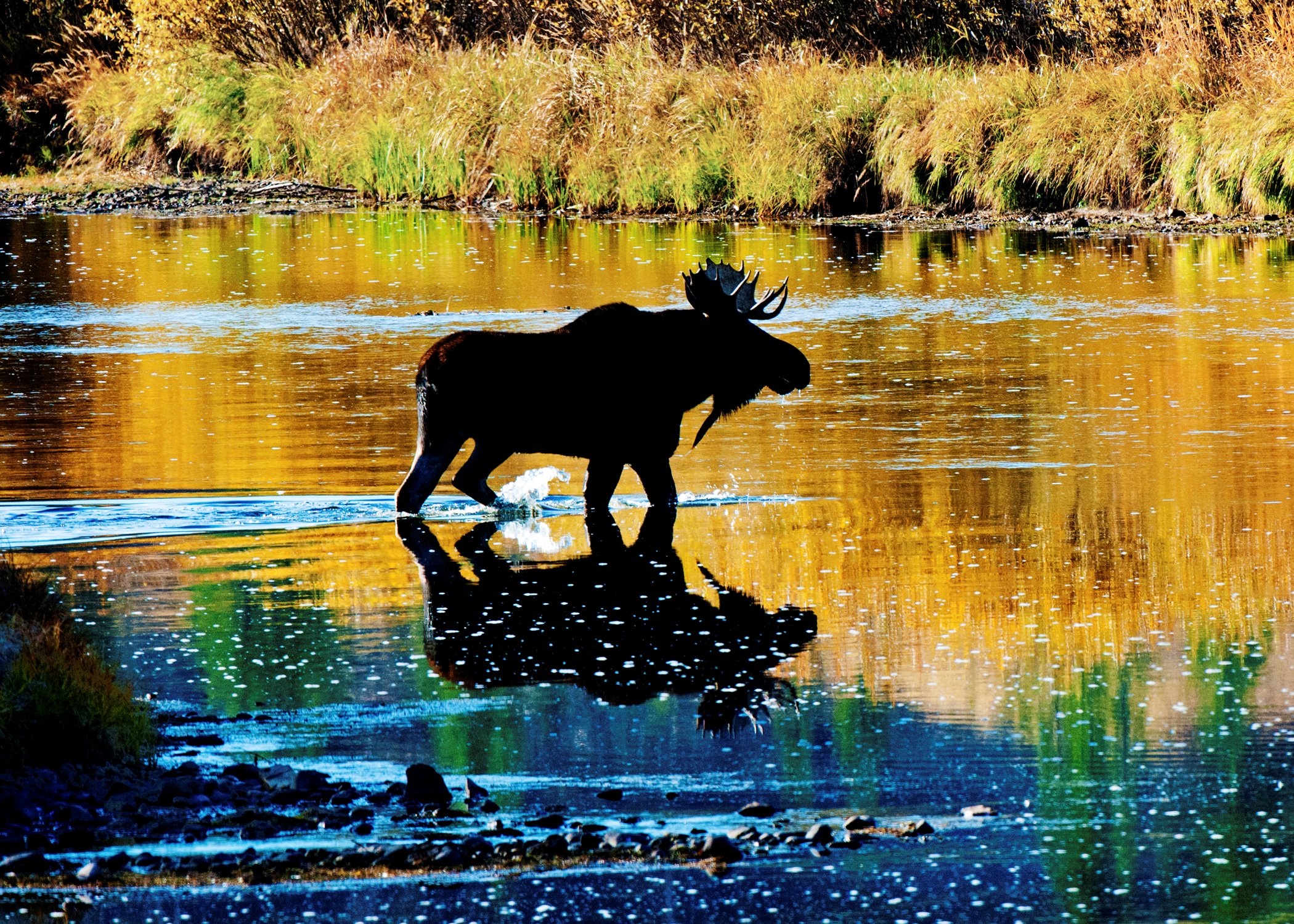 Western Lifestyle Photography in Montana | Cynthia Baldauf Images