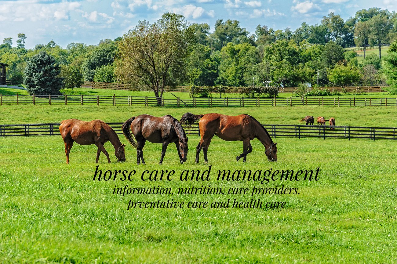 Horse Care Management | Equine Genie - Horse Business Management Software