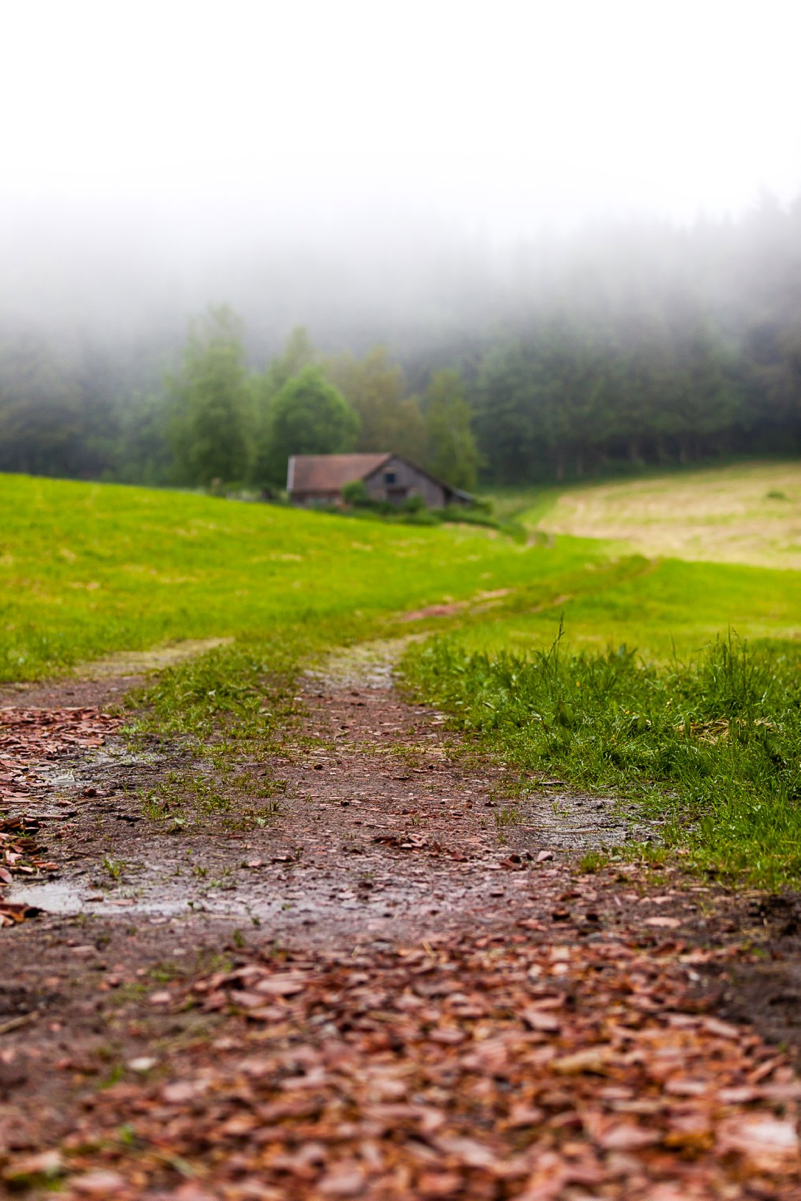 LANDSCAPES - Emo Photo