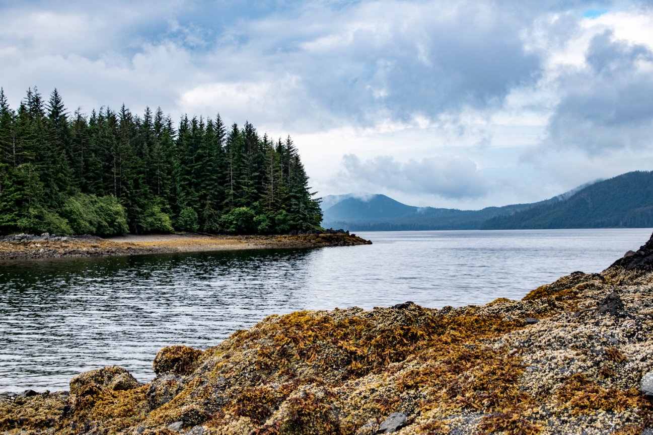 ALASKA and the ALPS-Gallery - Mark Miller Fine Art - In New York and ...