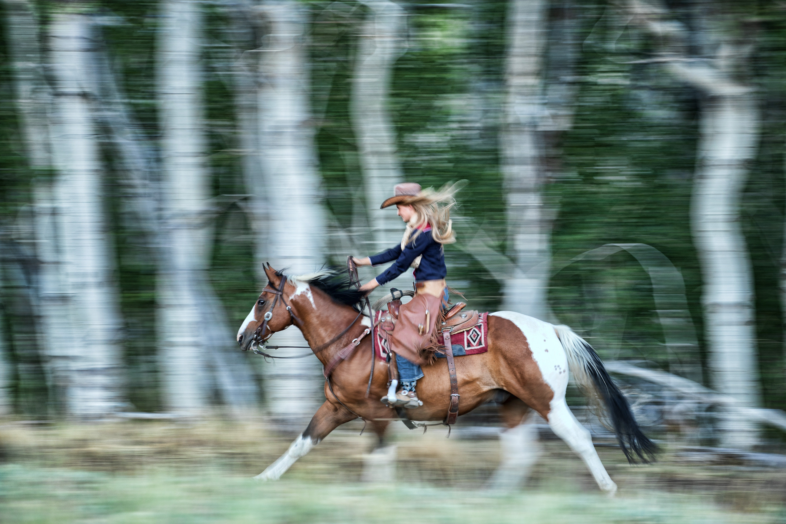 Dallas TX Equine & Equestrian Gallery | Penny Whistle Photography
