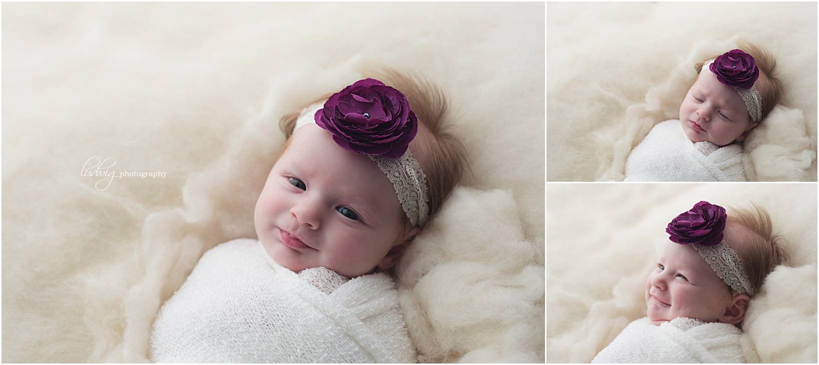 7 weeks old baby girl portrait session - Ludwig Photography