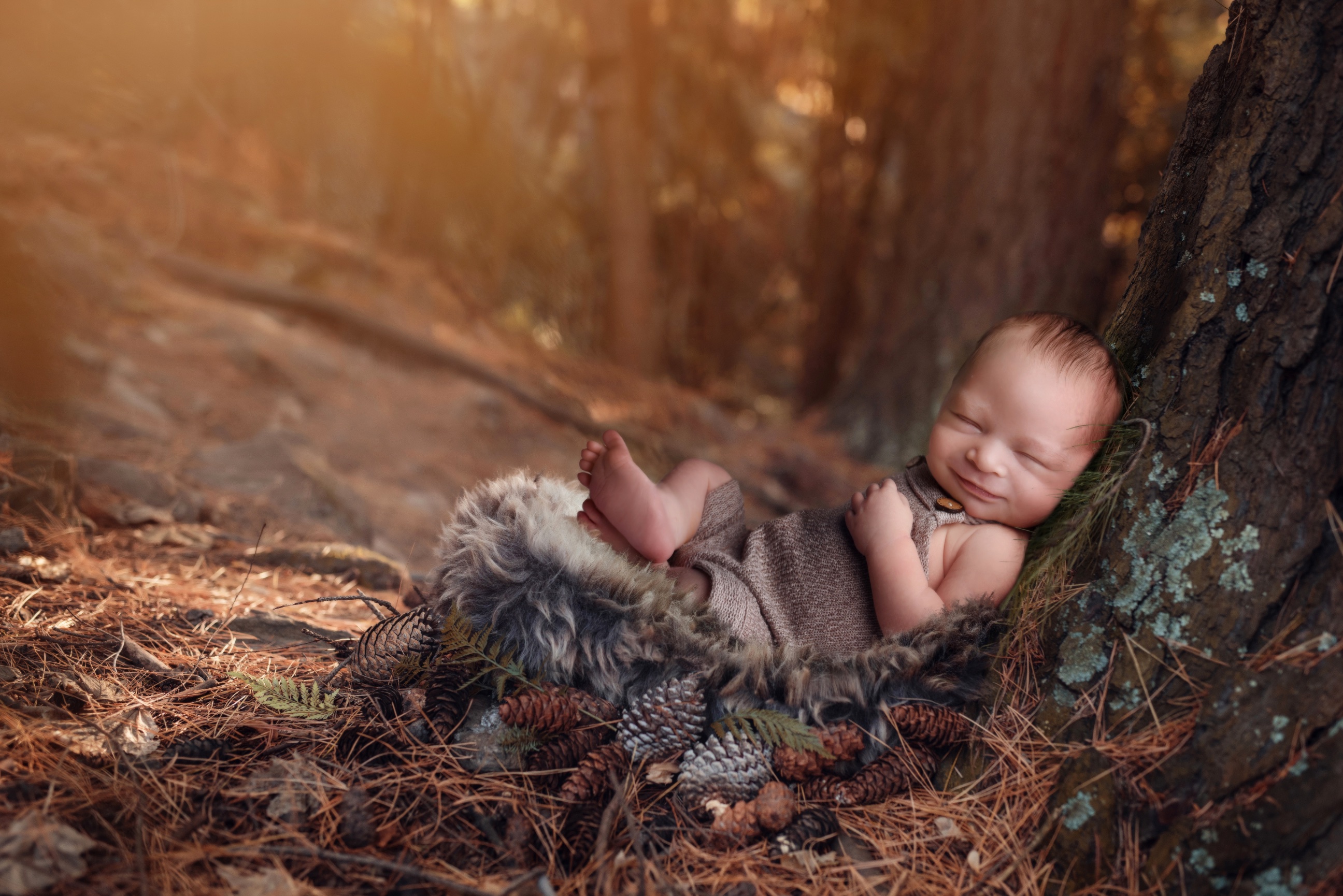 Dustin Honeycutt Photography