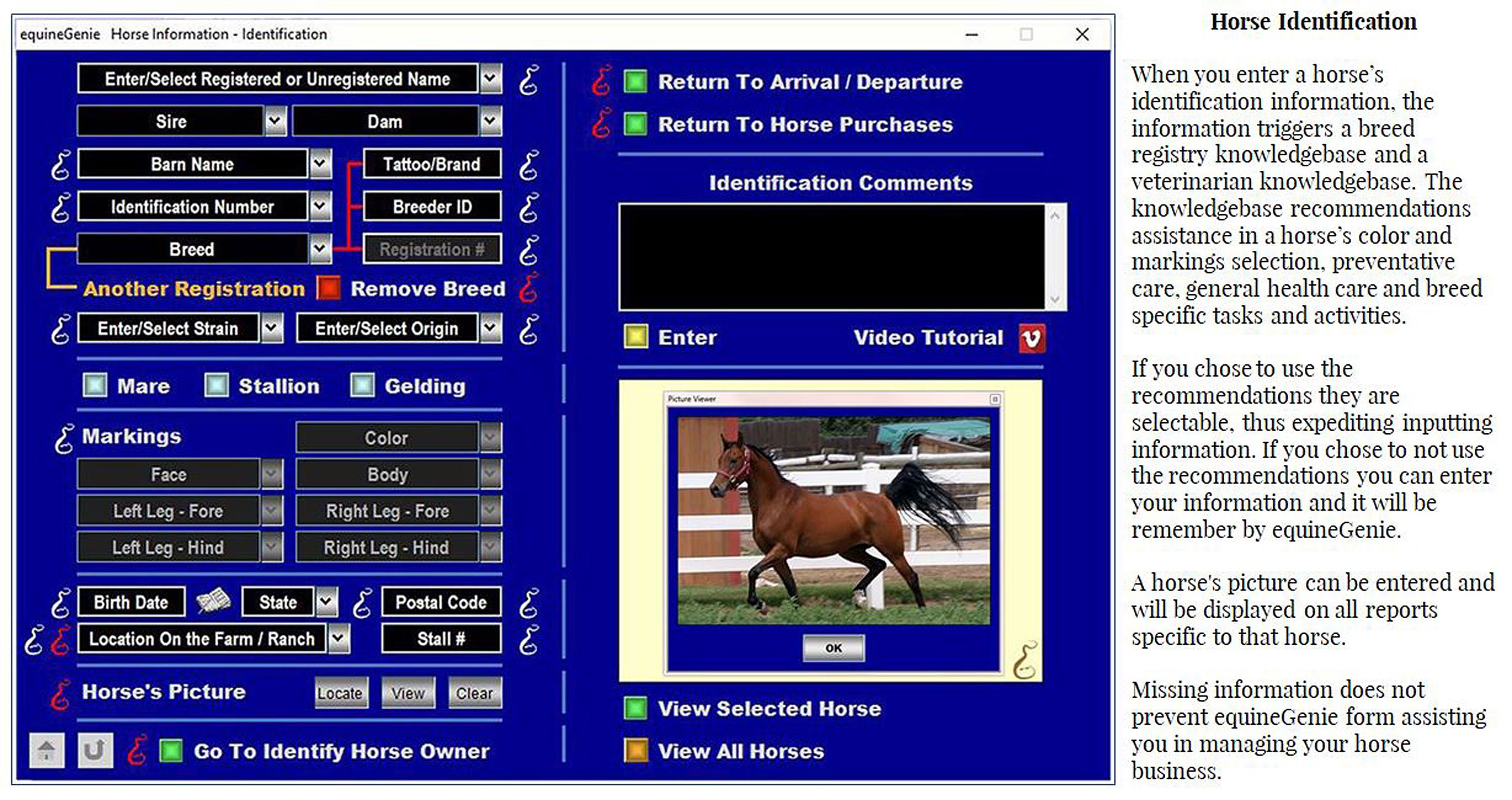 Horse Care Management | Equine Genie - Horse Business Management Software