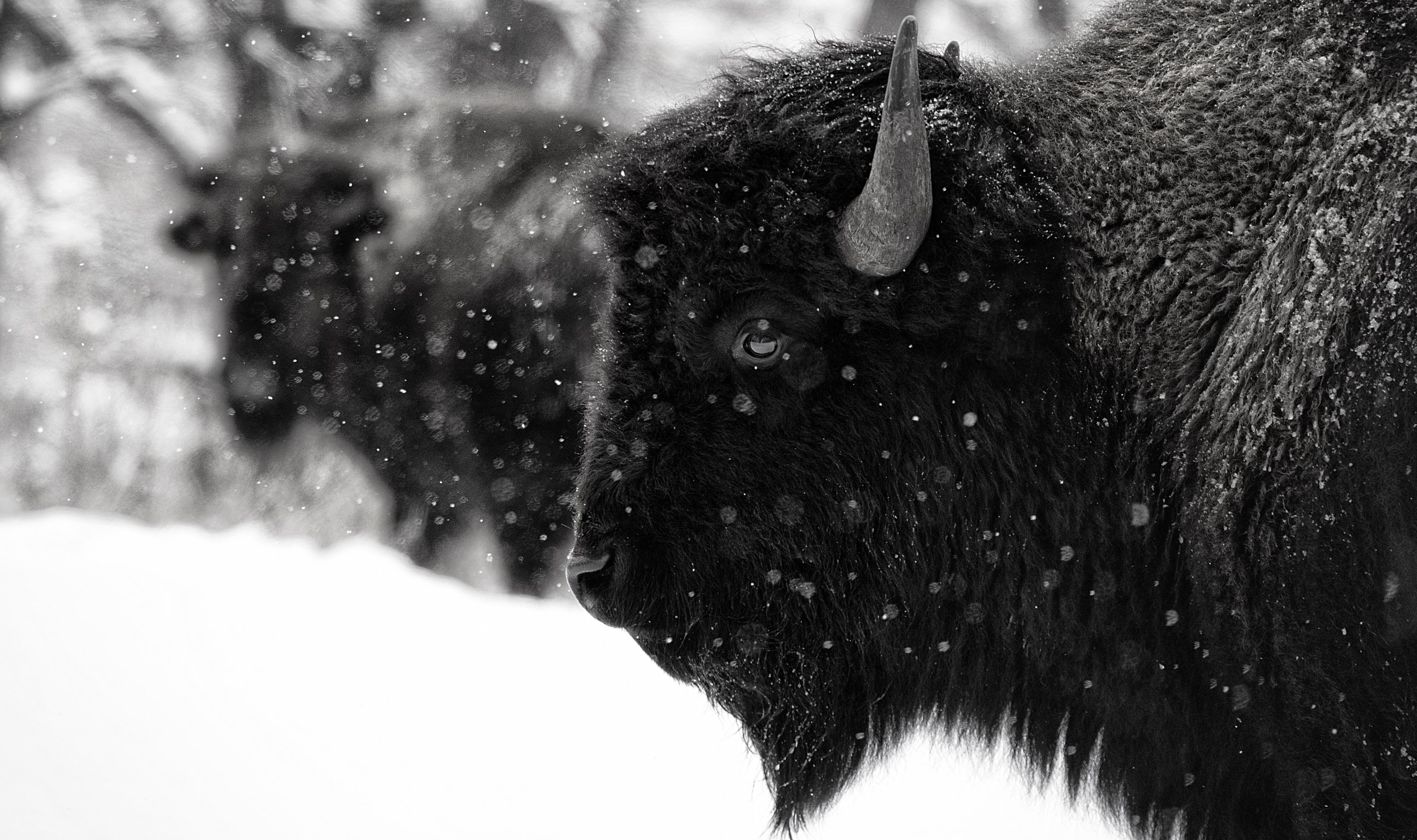 Tucson Wedding Photographers | Rod Mikinski Photography