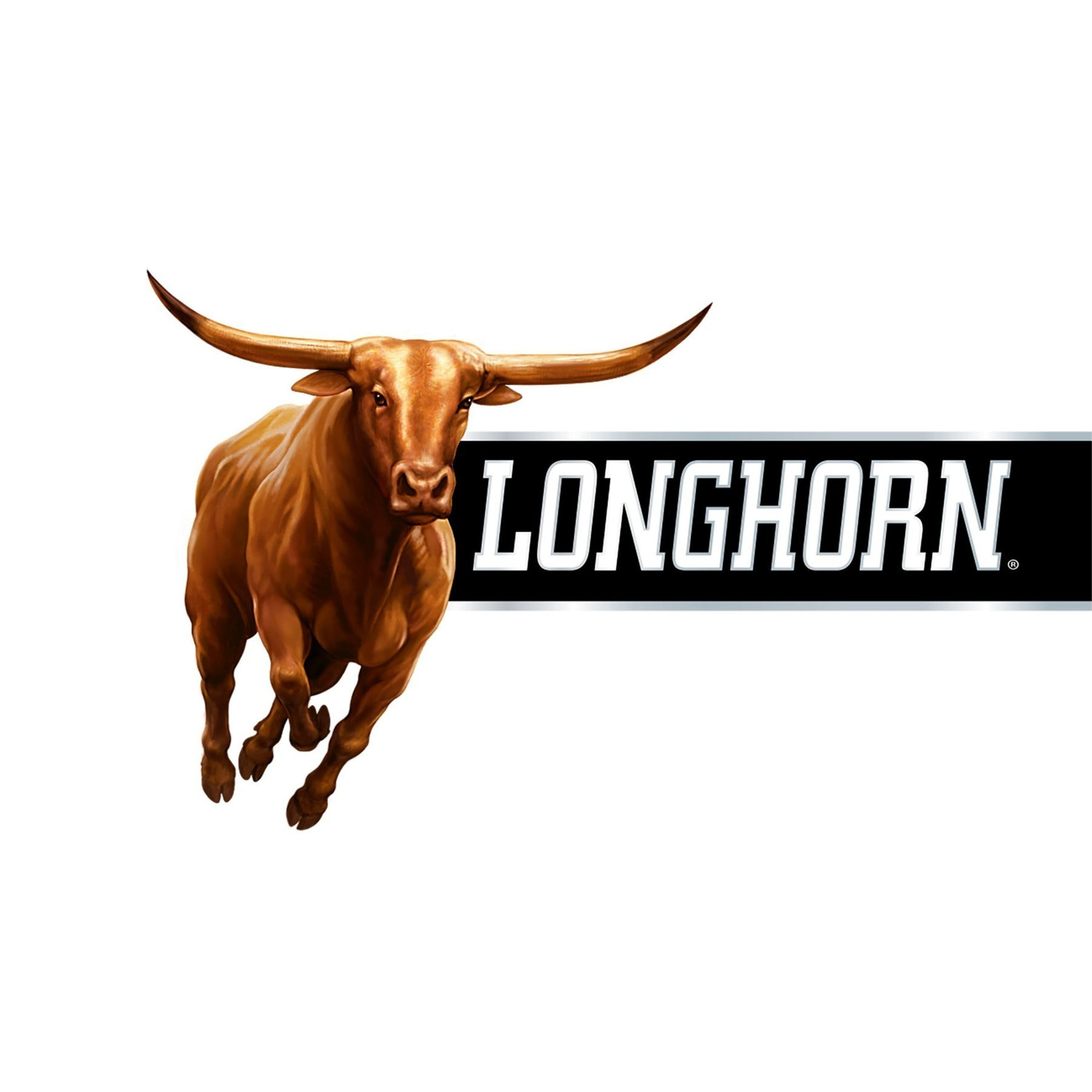 LONGHORN STRAIGHT TUB 14.4OZ - Rebel Tobacco Co.