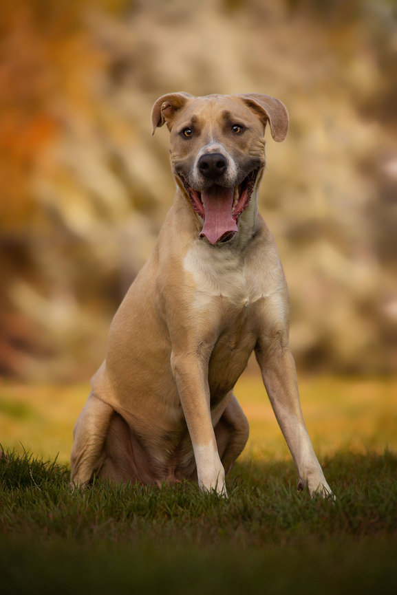 Kim Yanick Portraits