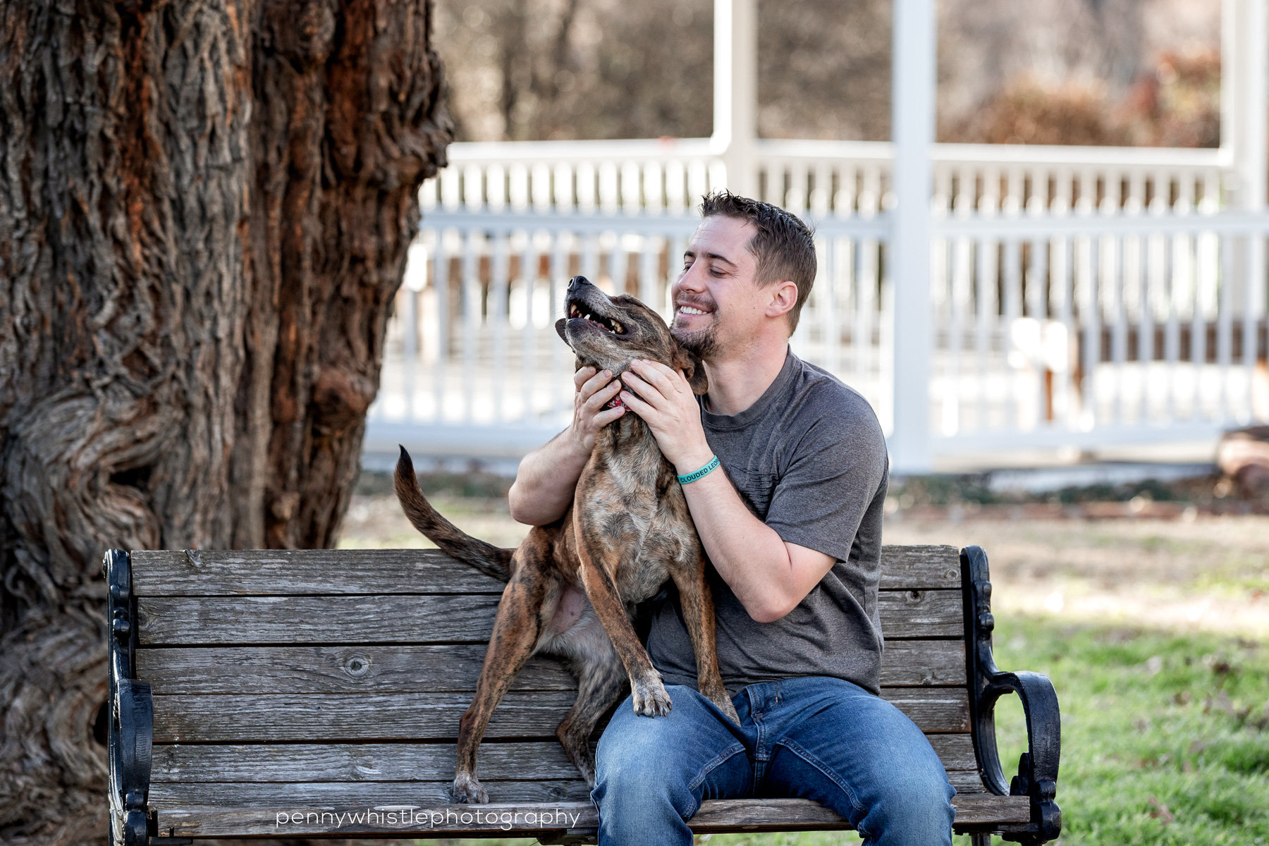 Commercial Animal Photography For Your North Texas Business - Penny ...