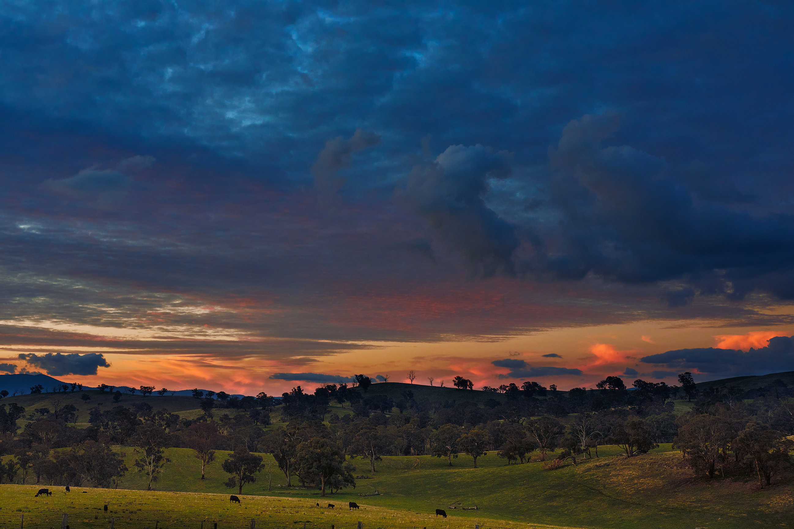 Mansfield Farm Project - Online Photography Exhibition