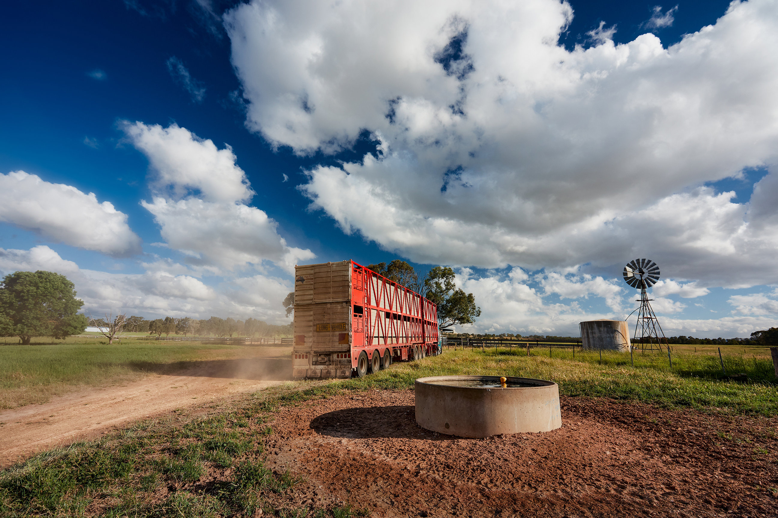 Mansfield Farm Project - Online Photography Exhibition