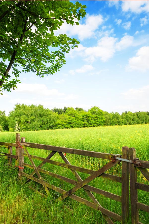 School Photo Backgrounds - Kenneth Brown Photography