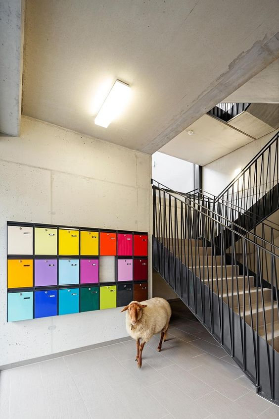 Package Rooms - Delia Designs