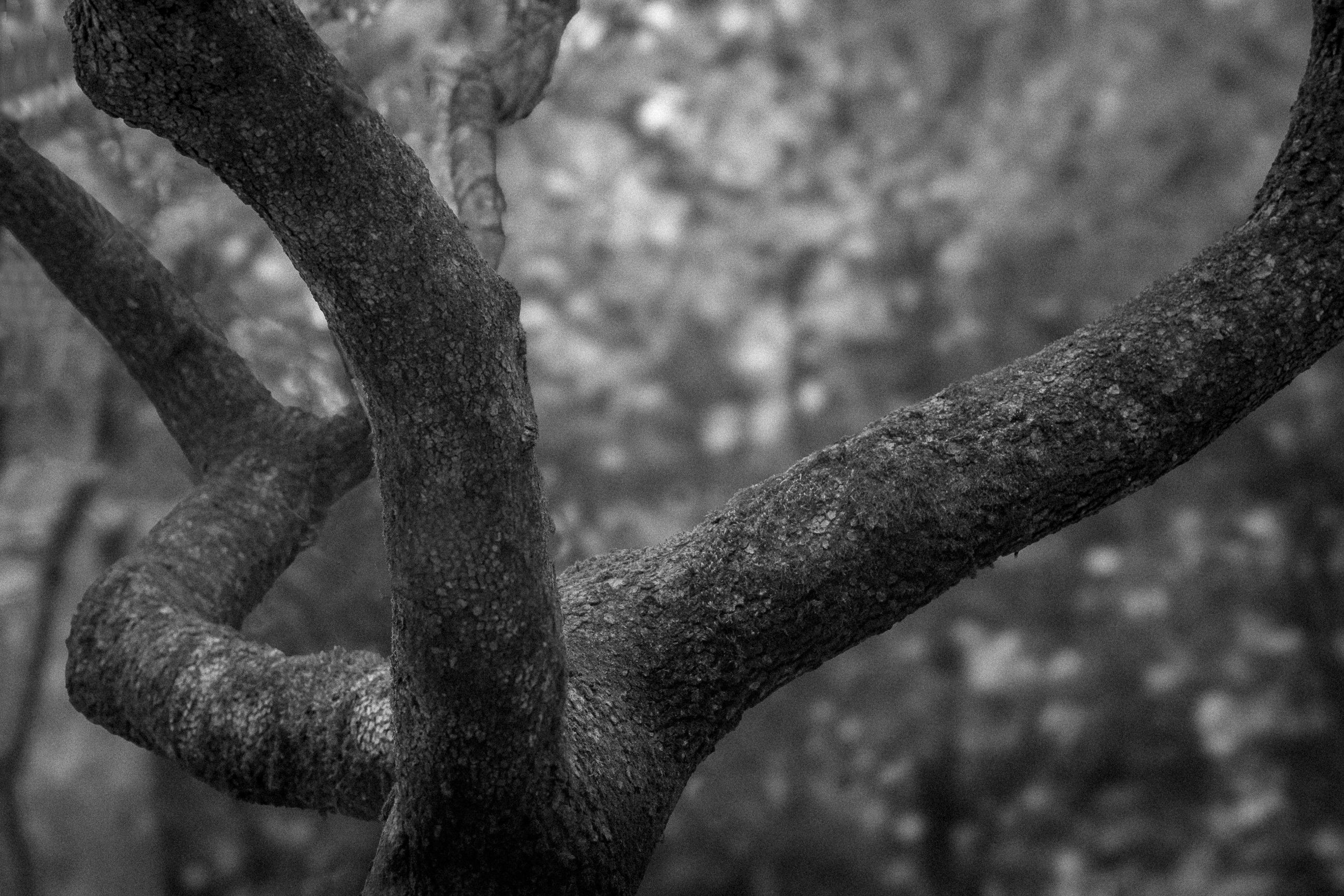 September 27, 2024 - Todd Suttles