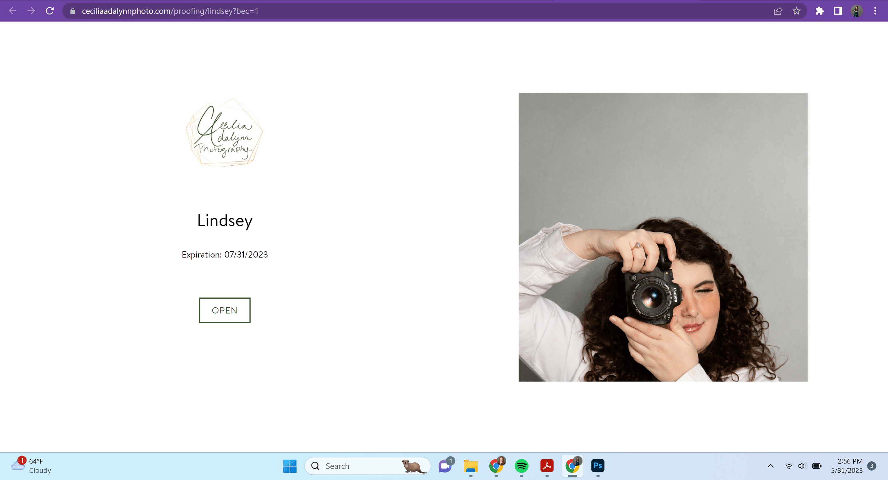 What does a Client Gallery Look like? - Cecilia Adalynn Photography LLC
