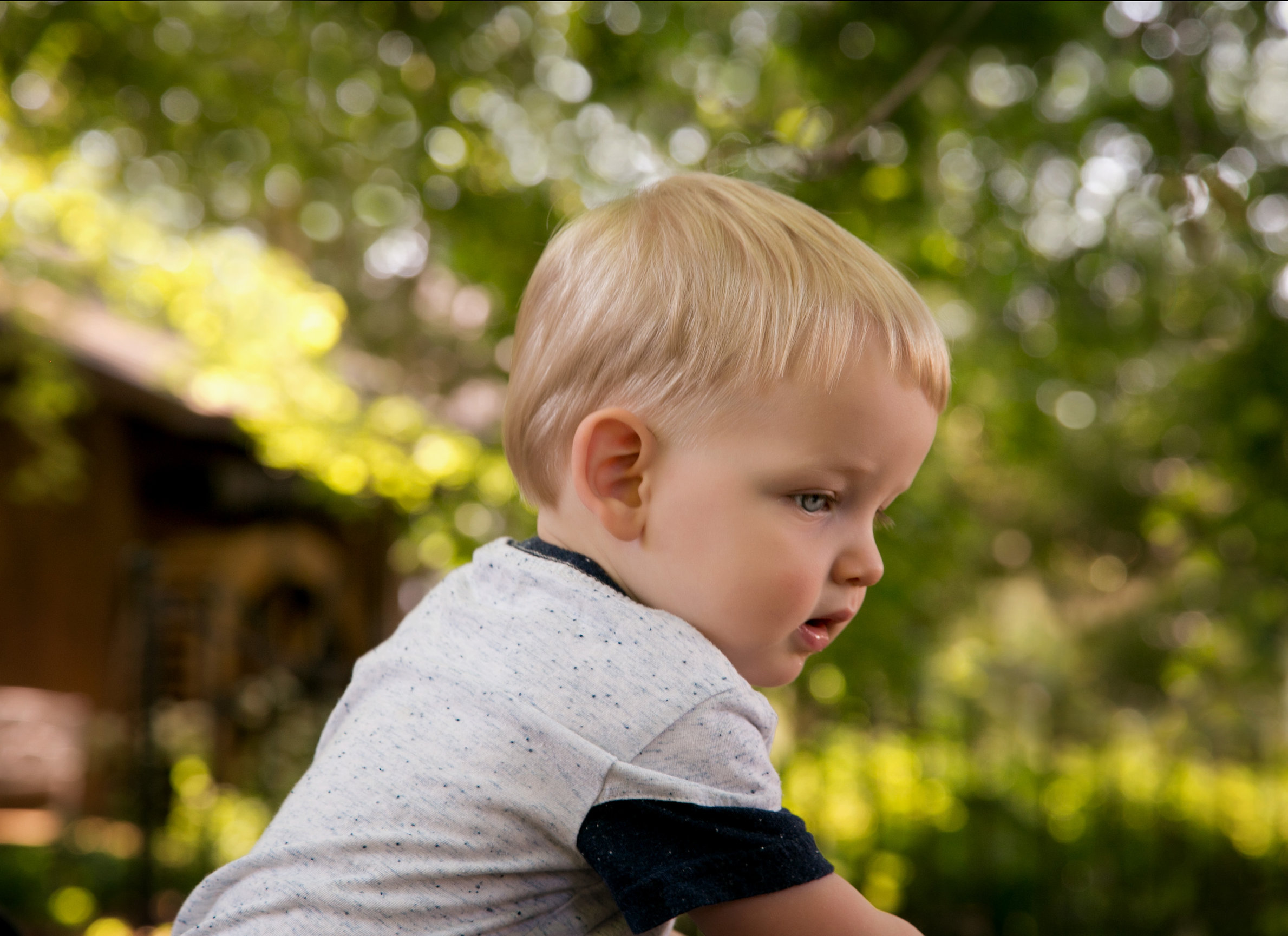 HOME - Countryside Photographers