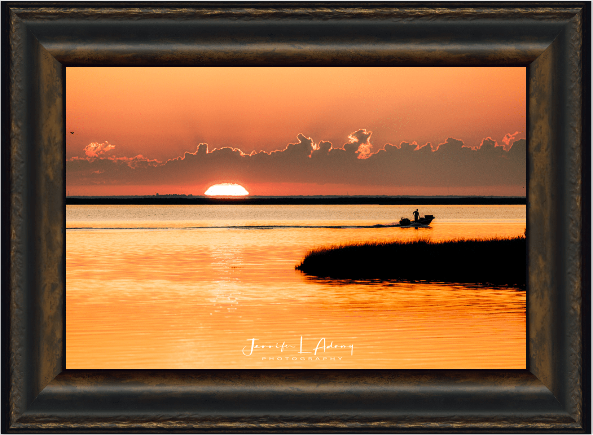 Regions 117 Gallery - Jennifer L Adamy Photography