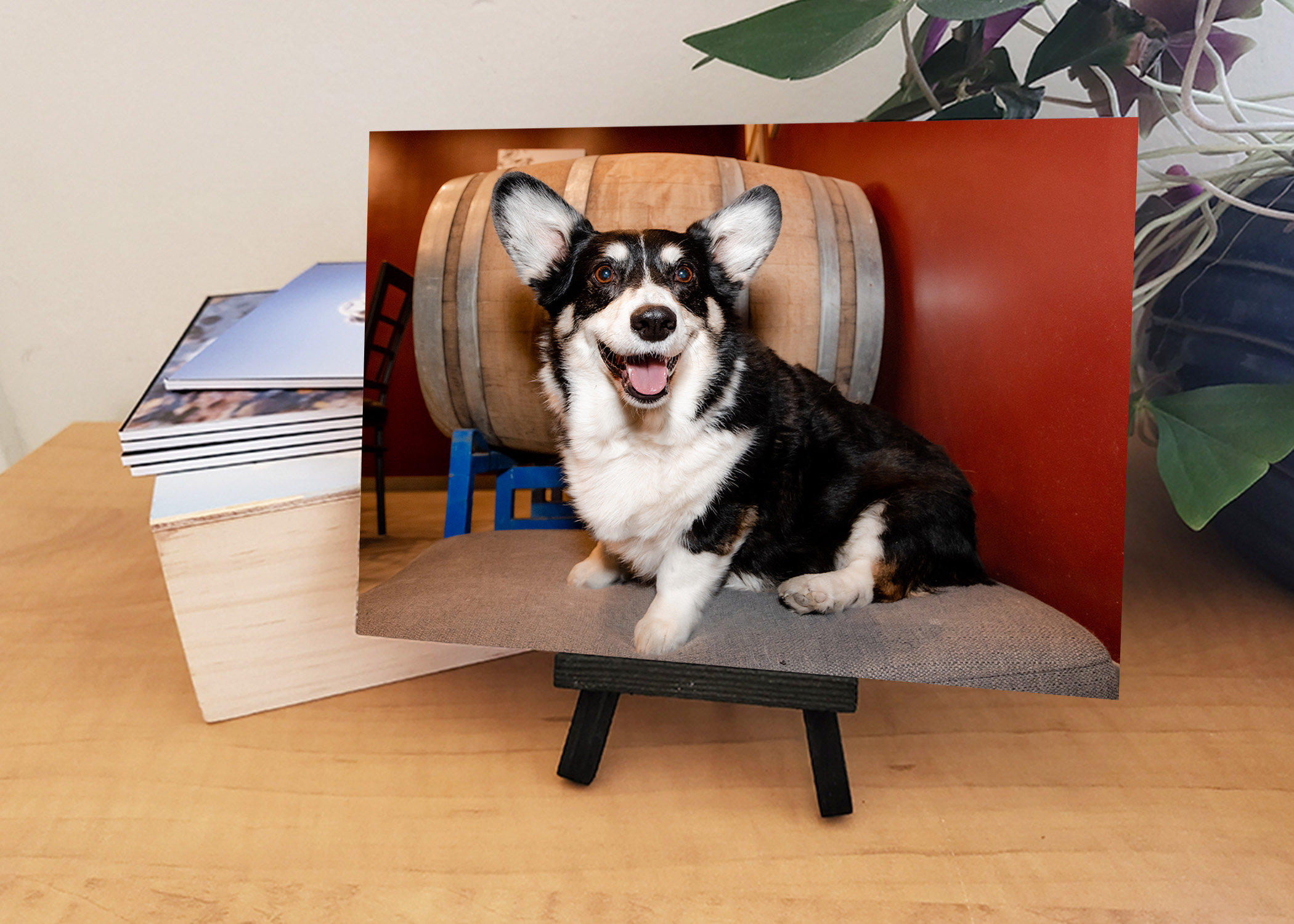 Brew Pup Pop Up! - Furever Photography