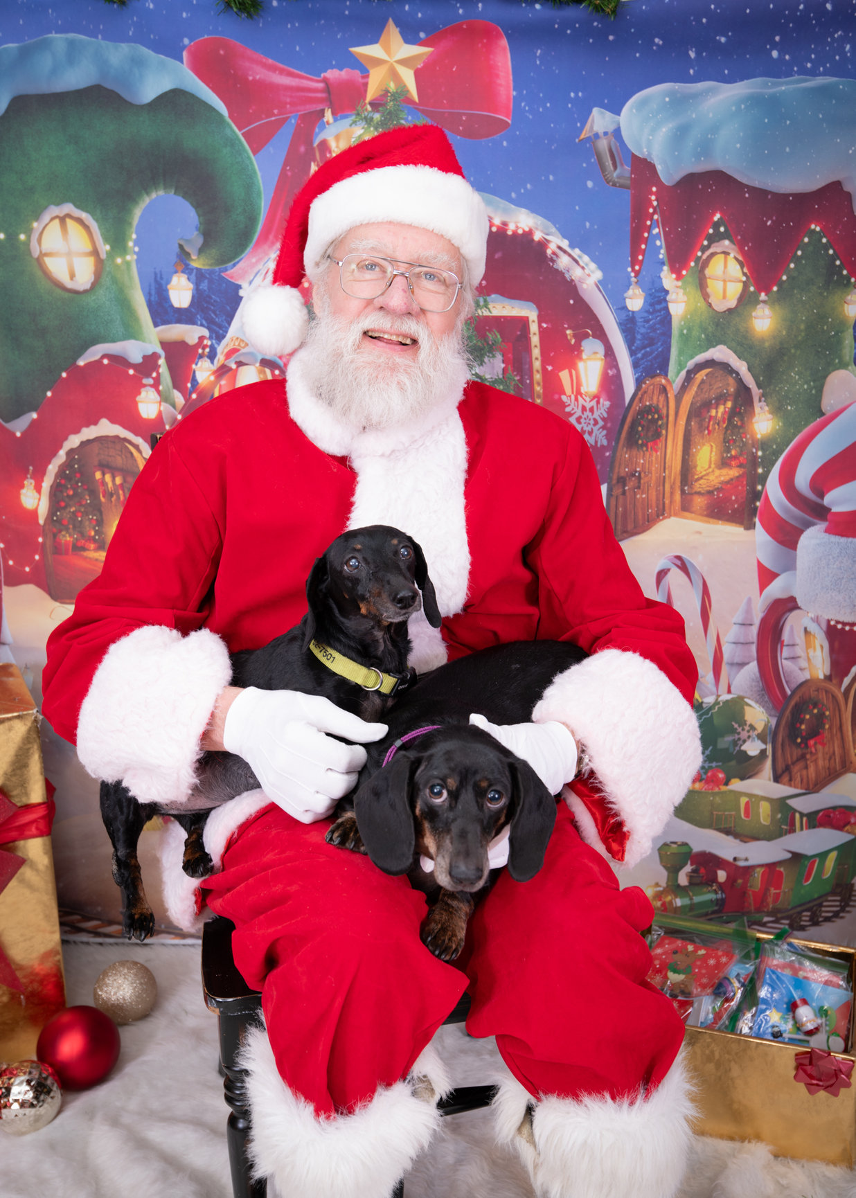 Shoshone Pet Rescue-Santa Photos - Furever Photography