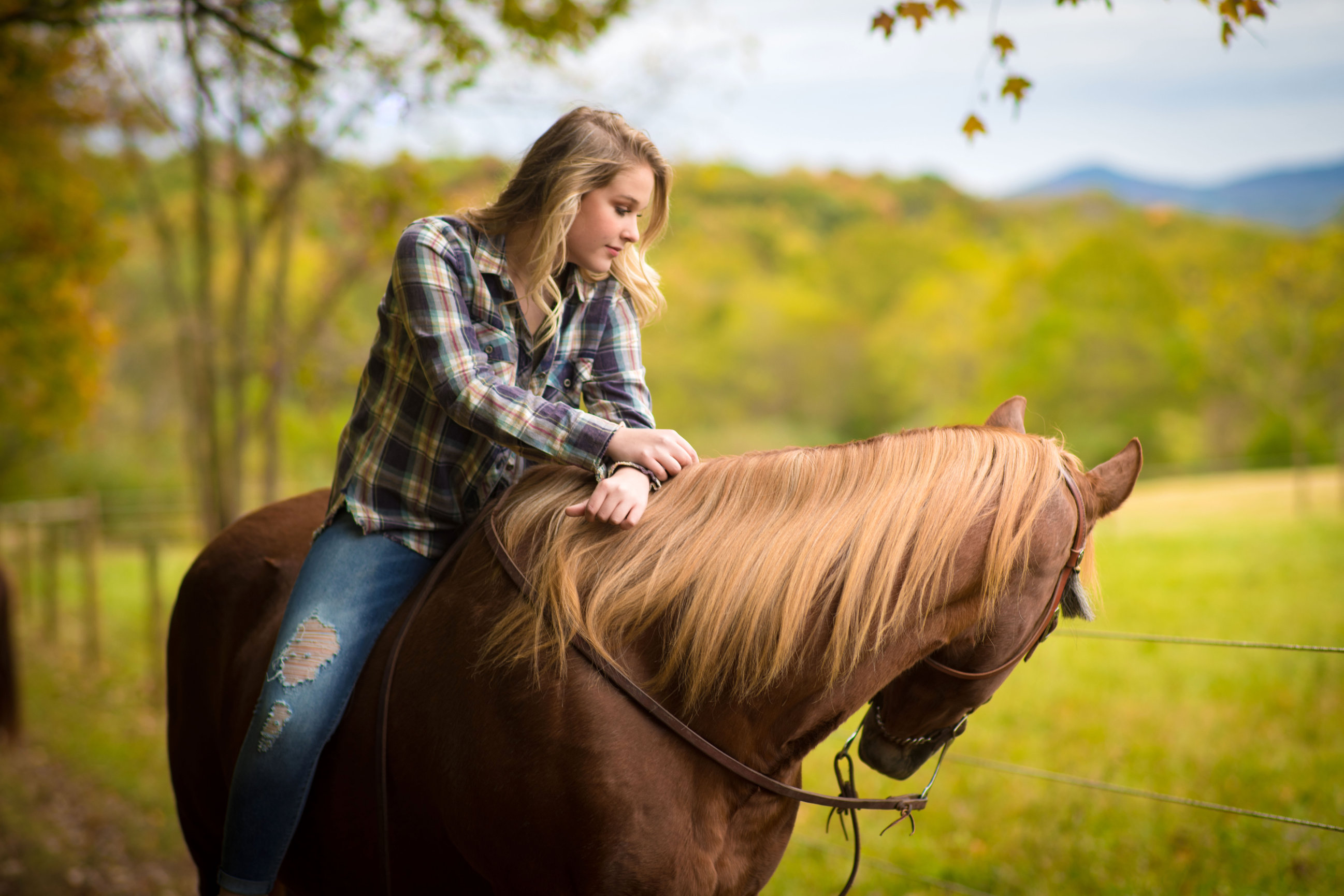 HOME - Mears Photography