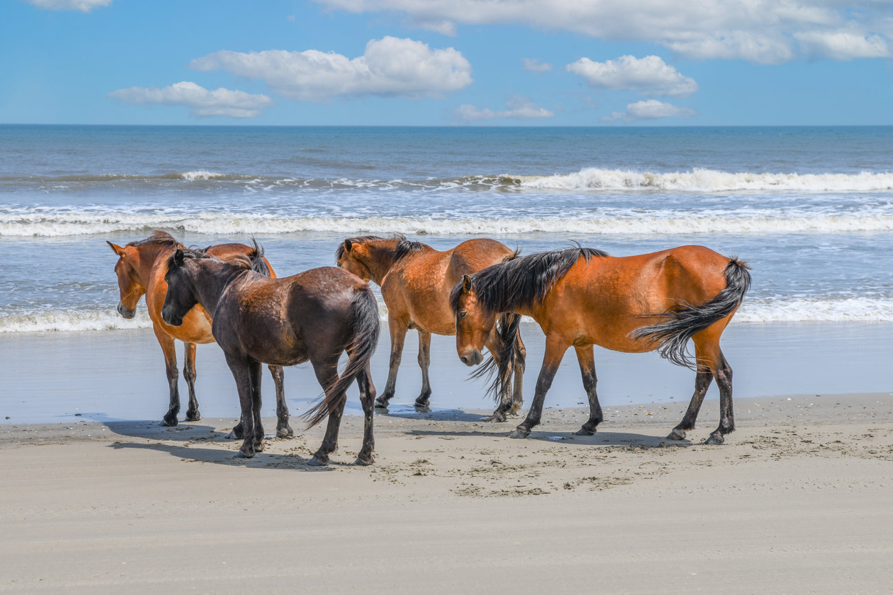 ABOUT - OBX Island Photography