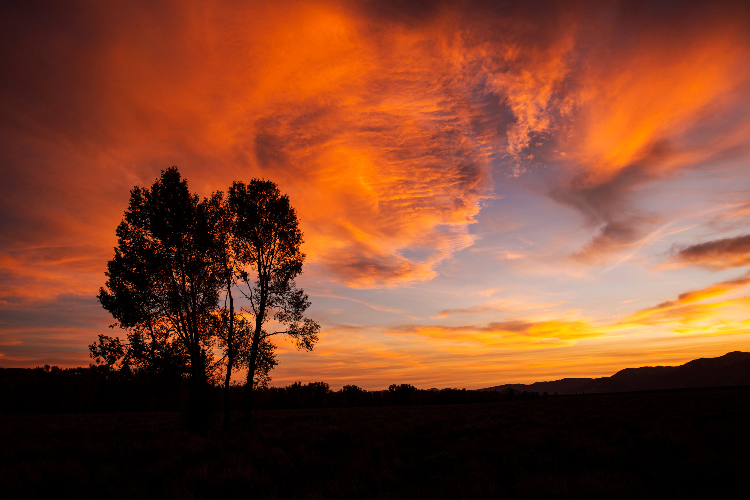 Nature Exposed Tours