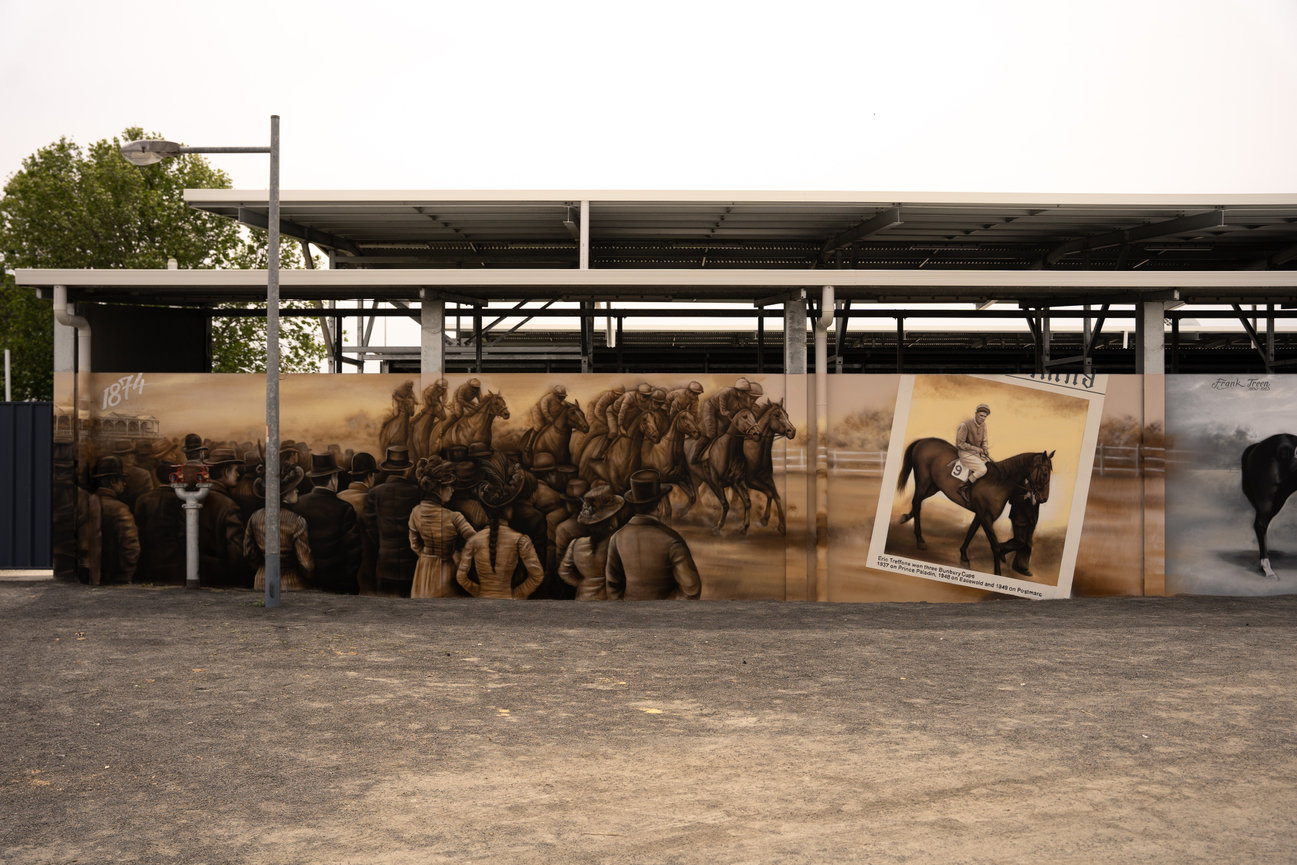 West Australian Mural Artist: Shakey